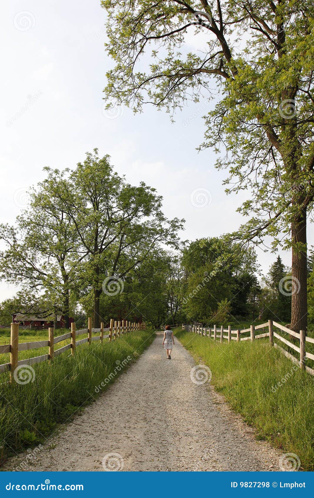 Woman strolling along path stock photo. Image of summer - 9827298