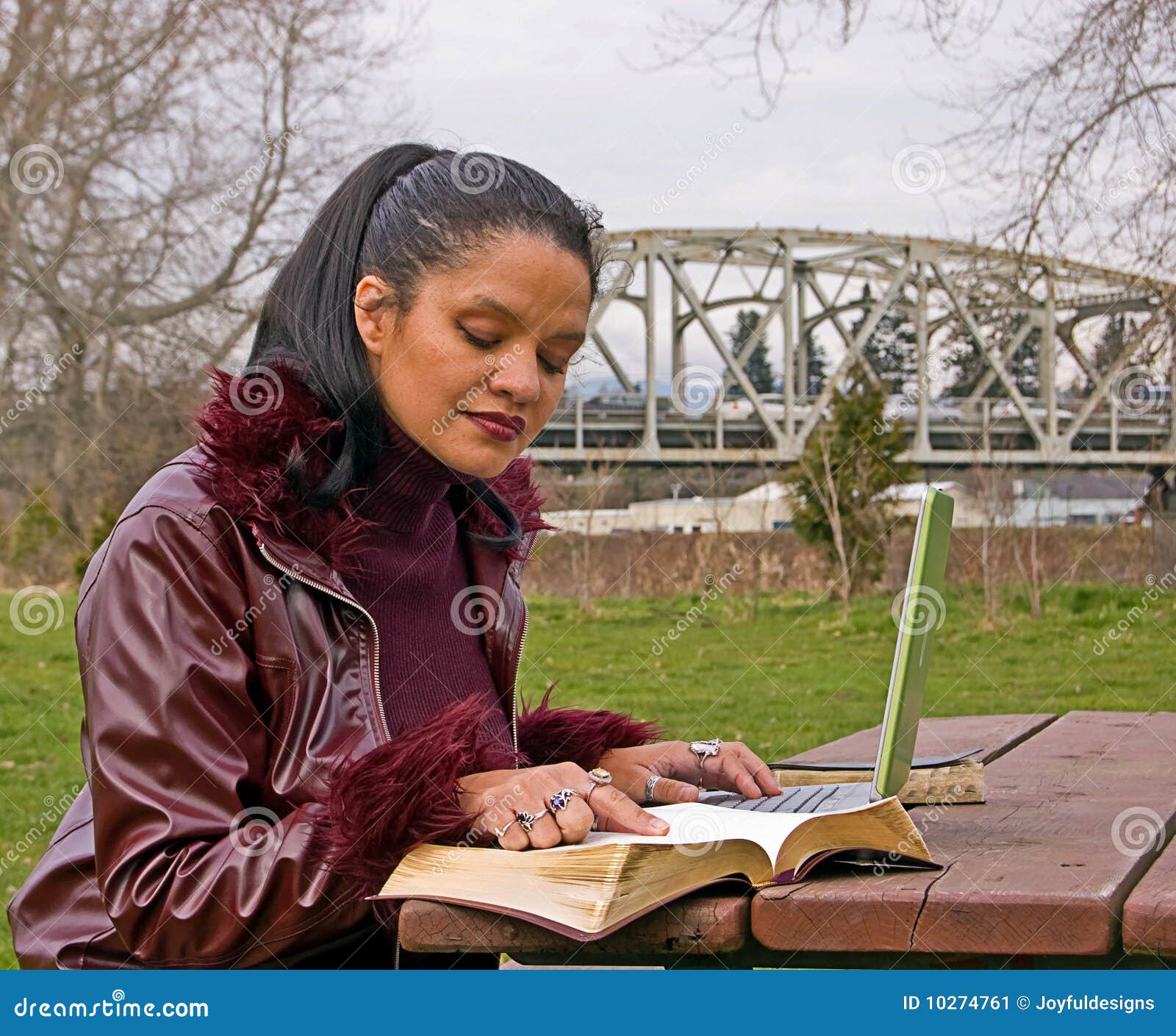 Woman Studying at Park with Laptop Computer Stock Image - Image of ...