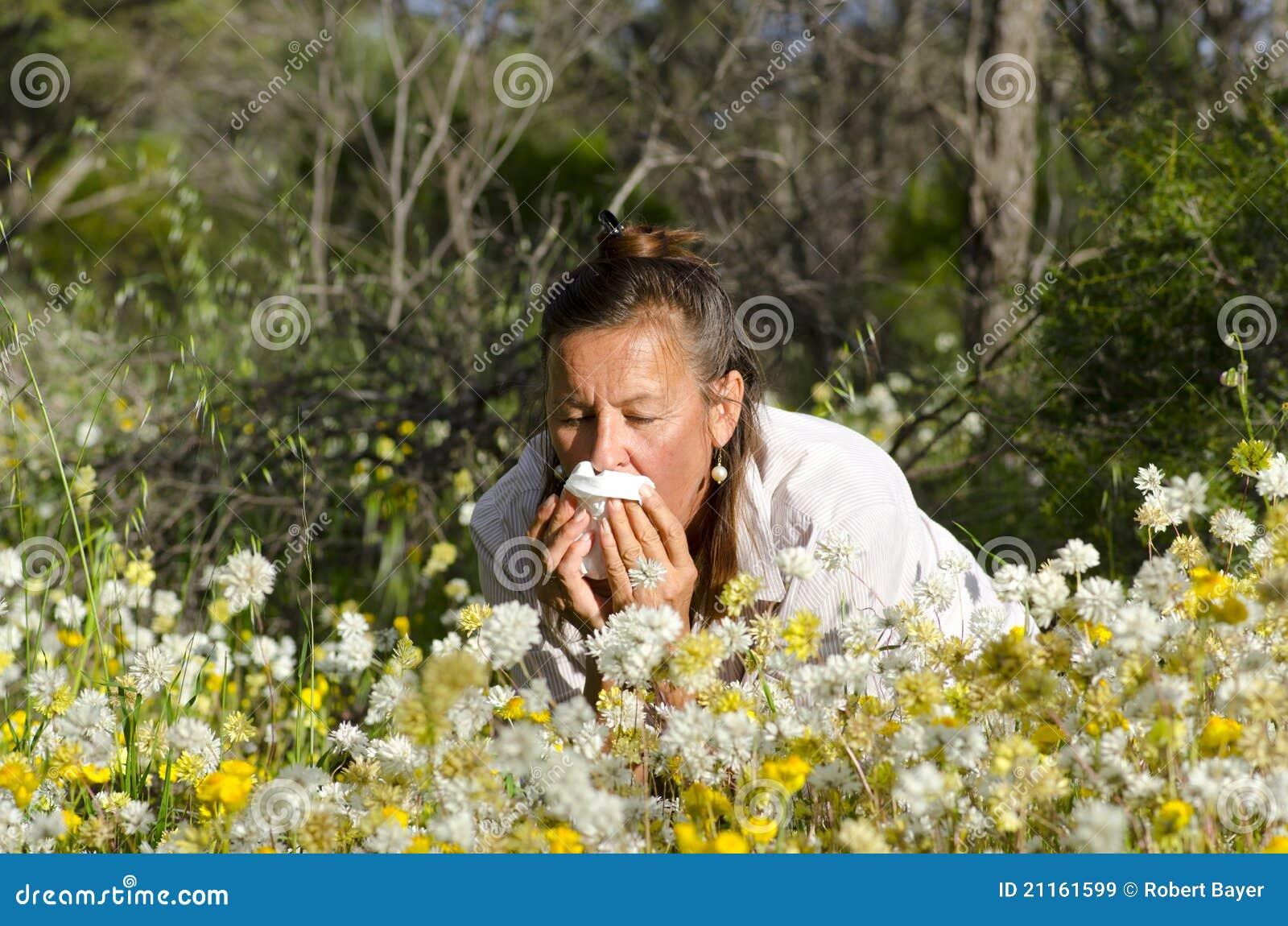 Woman suffering Hay Fever stock image. Image of blurred - 21161599