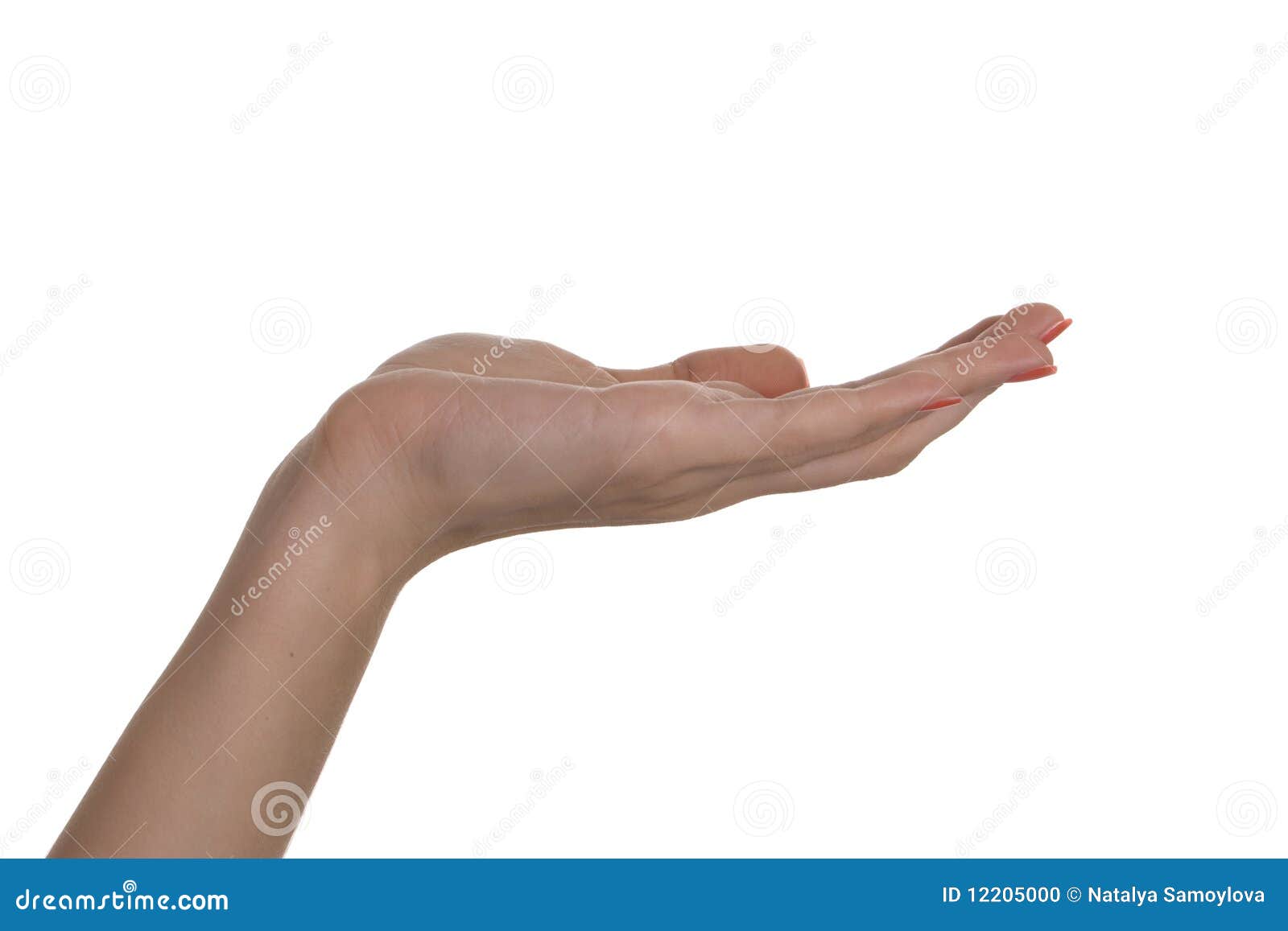 Woman support hand stock photo. Image of manicure, fingers - 12205000