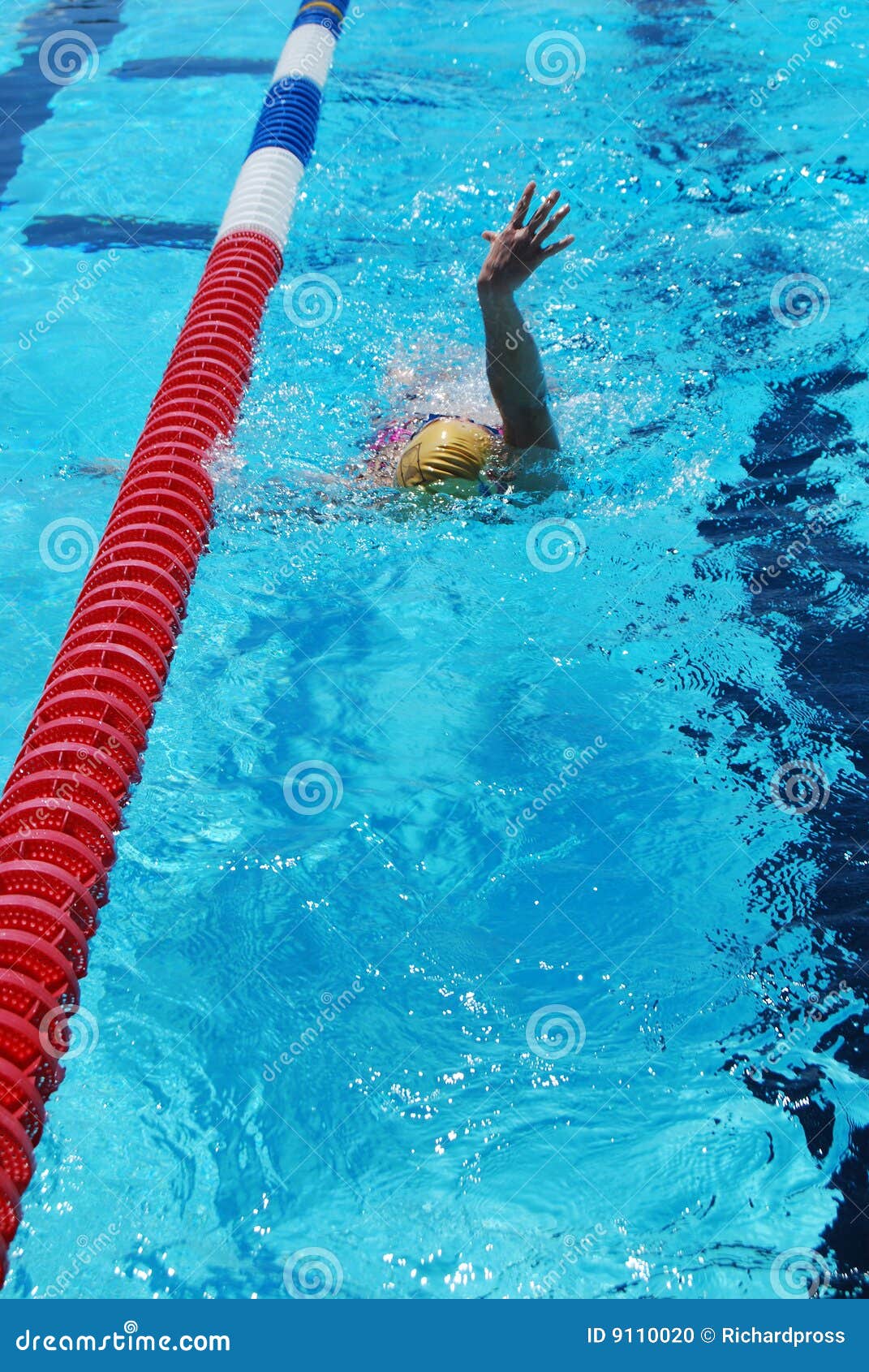 Woman Swimming the BAckstroke Stock Photo - Image of pools, swimmers ...