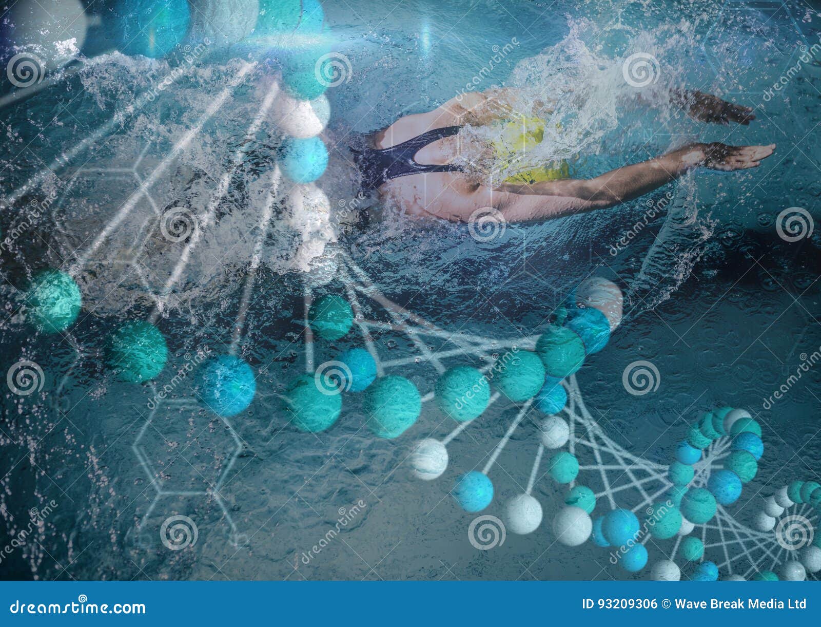 Woman Swimming and Dna Chain Superposition Stock Photo - Image of ...