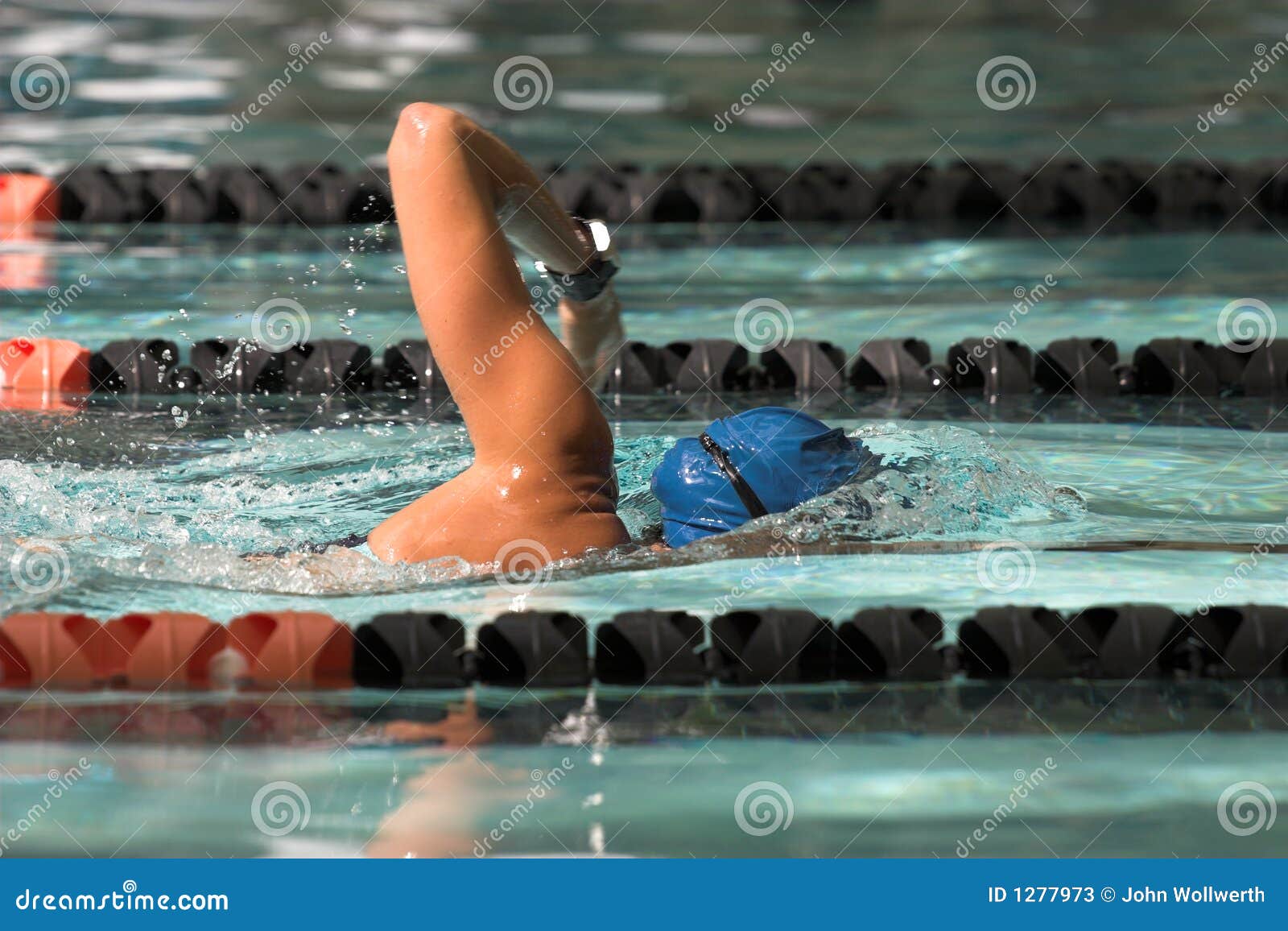 Woman swimming freestyle stock image. Image of muscular - 1277973