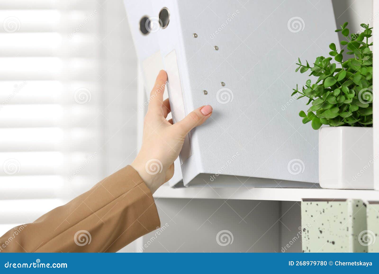 Woman Taking Folder with Documents from Shelf in Office, Closeup Stock ...