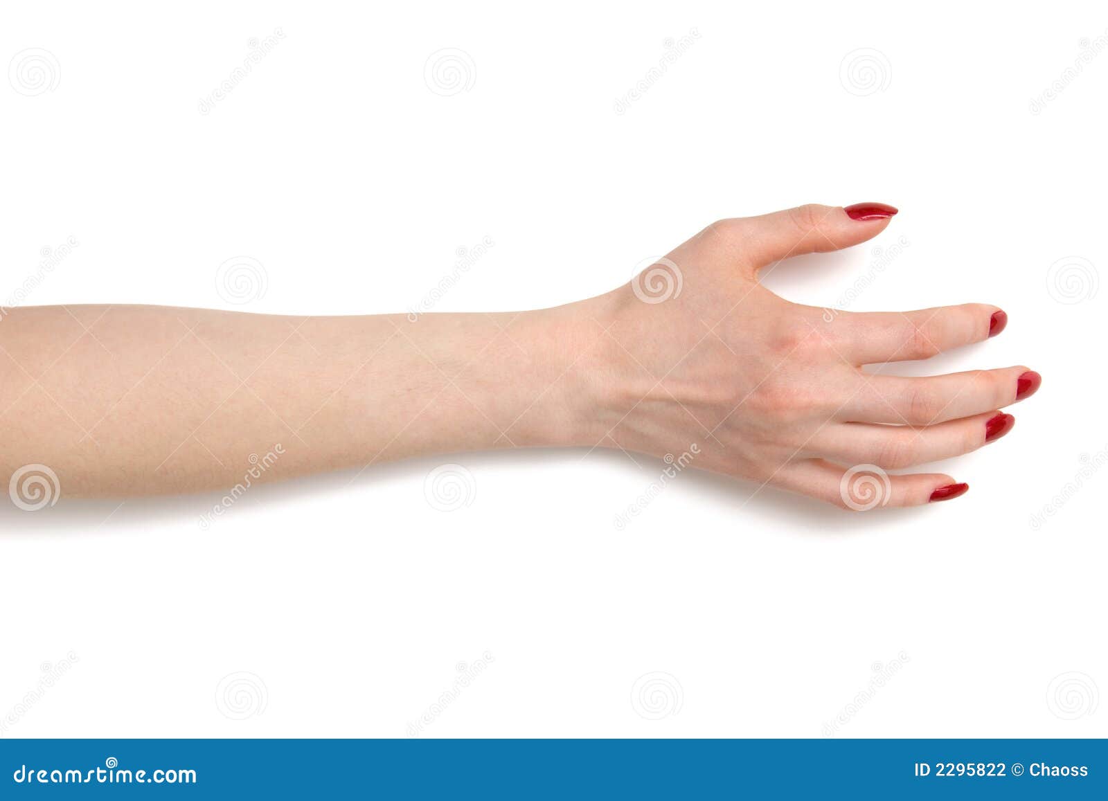 Woman taking hand stock photo. Image of adult, nail, makeup - 2295822