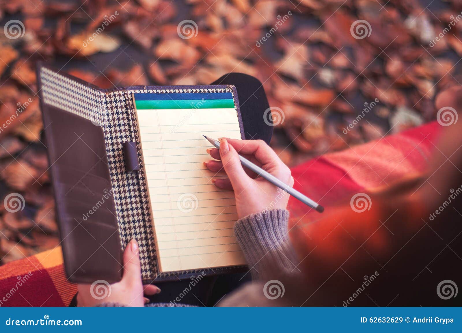 Woman Taking Notes in a Pad Stock Image - Image of fall, lifestyle ...