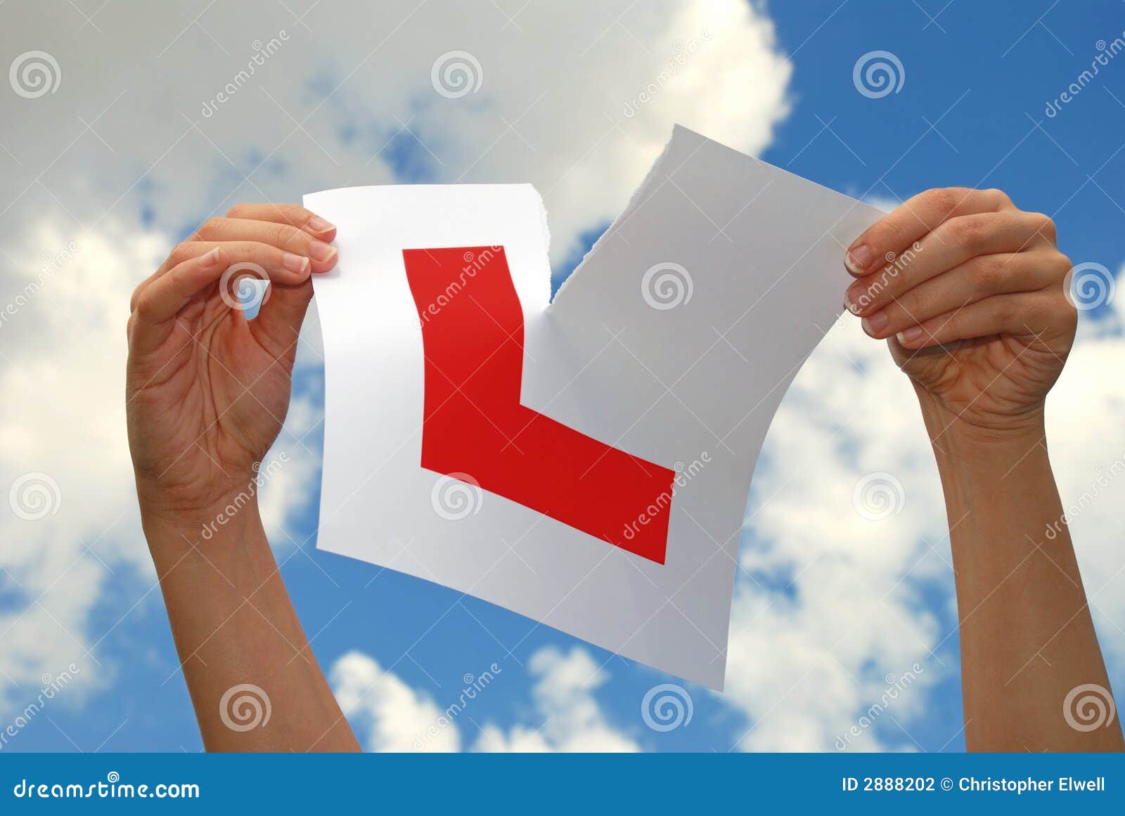 Woman tearing L Plate stock photo. Image of safety, tearing - 2888202