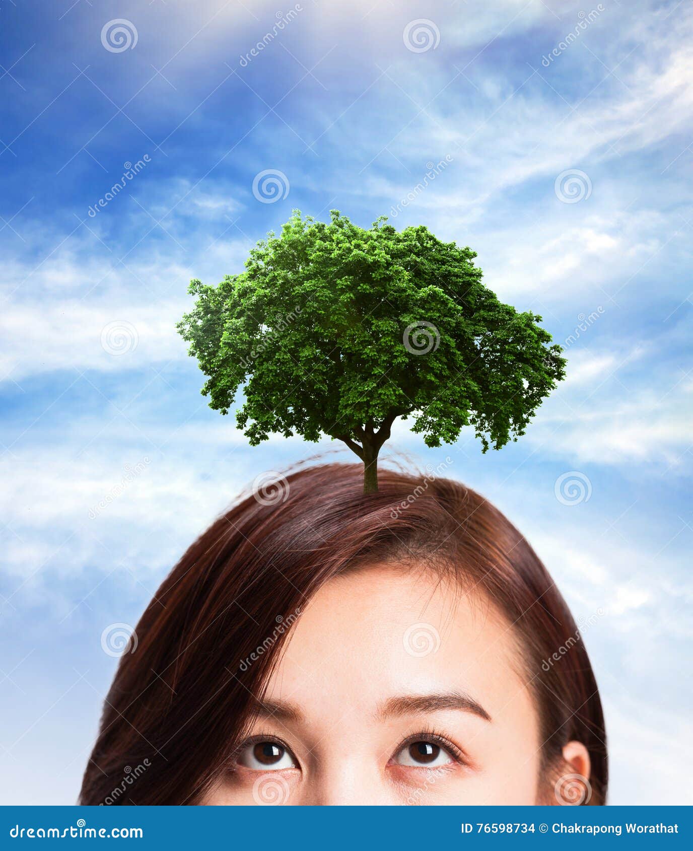 Thinking Tree Bench Stock Photo | CartoonDealer.com #43987722