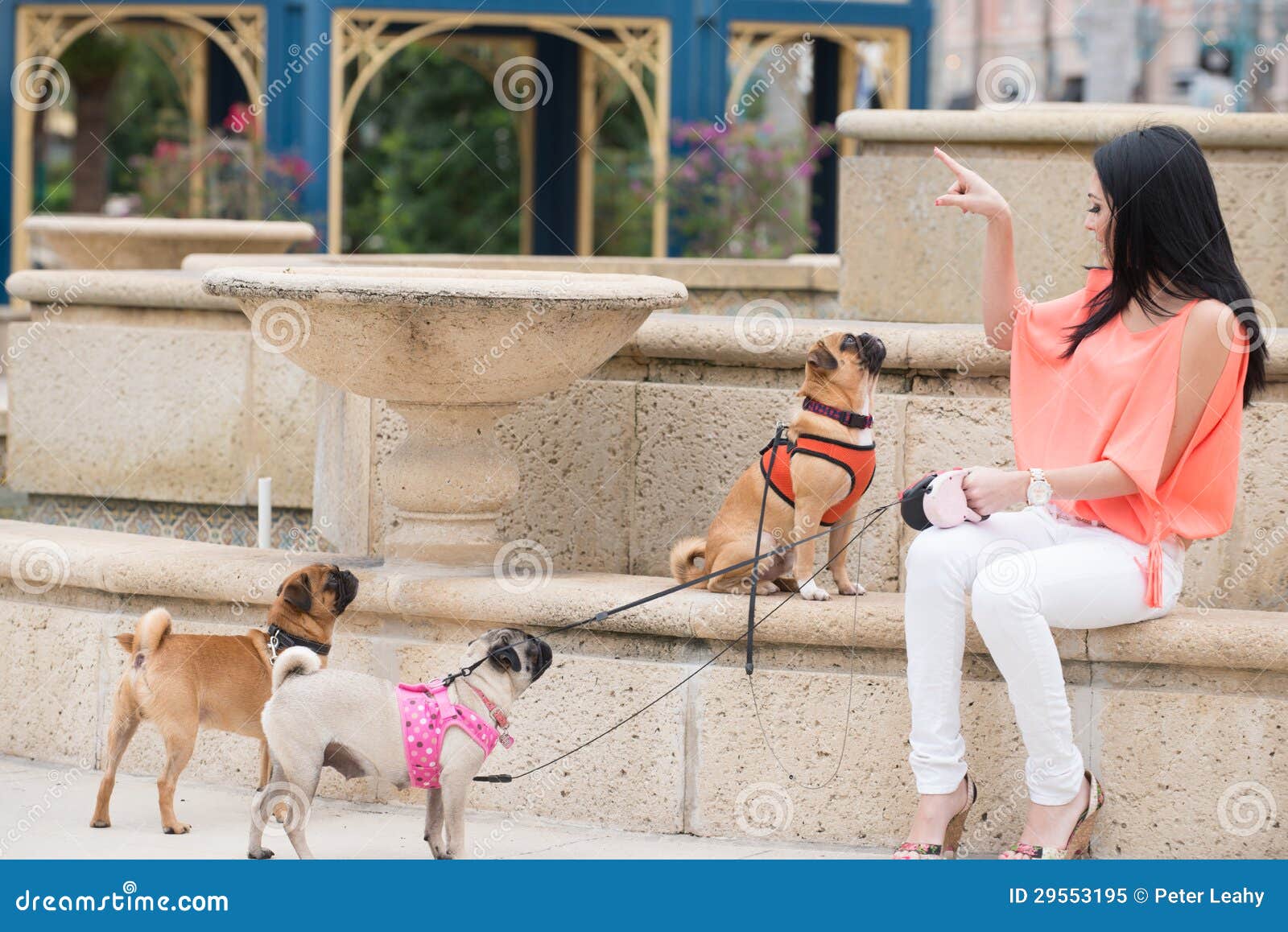A woman and three dogs stock image. Image of pretty, glamour - 29553195