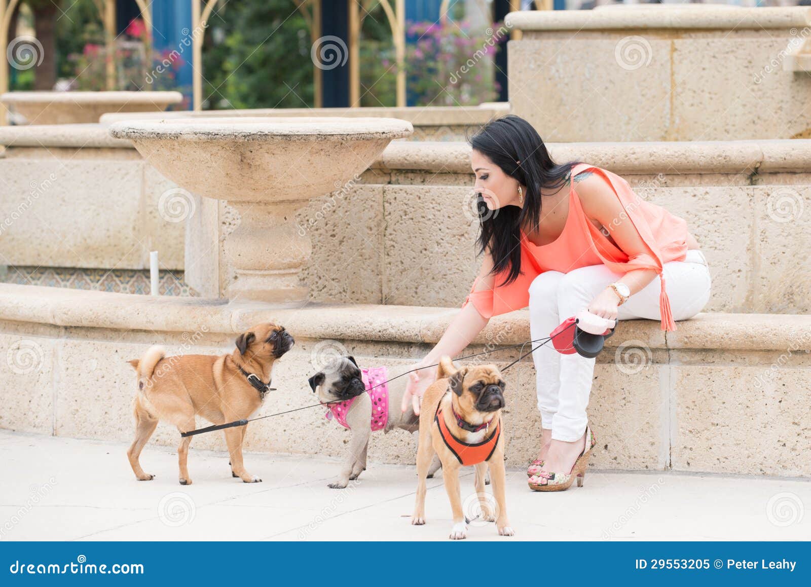 A woman and three dogs stock image. Image of beautiful - 29553205