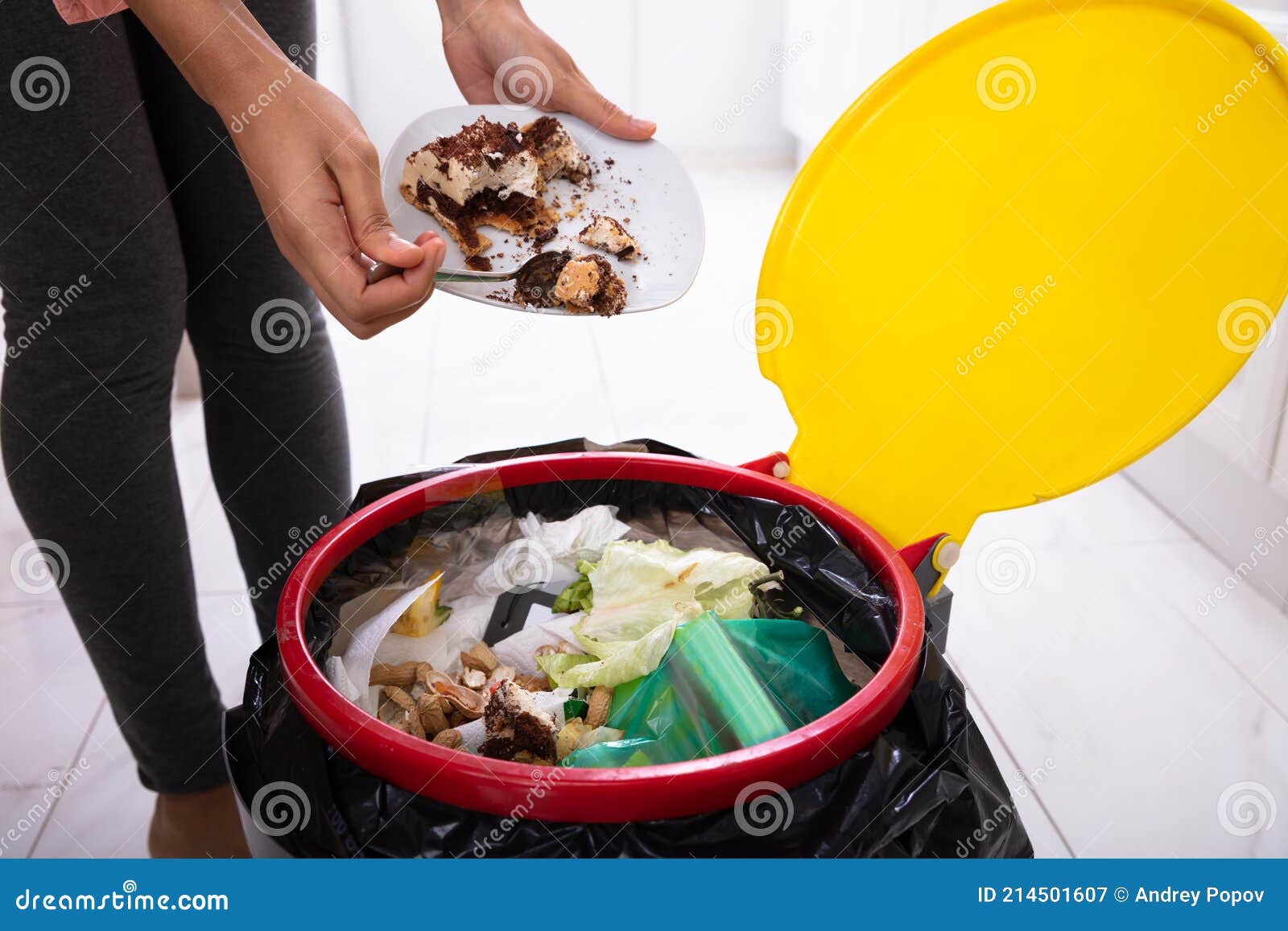 Woman Throwing Cake in Trash Bin Stock Image - Image of apartment, cake ...