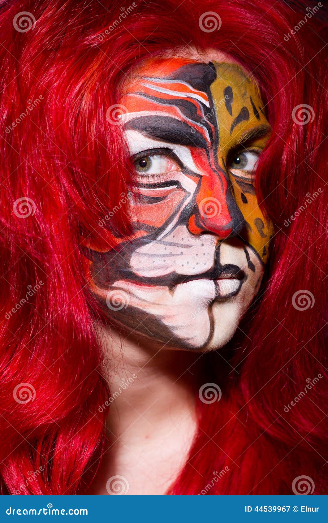 Woman with tiger face stock image. Image of model, drawing - 44539967