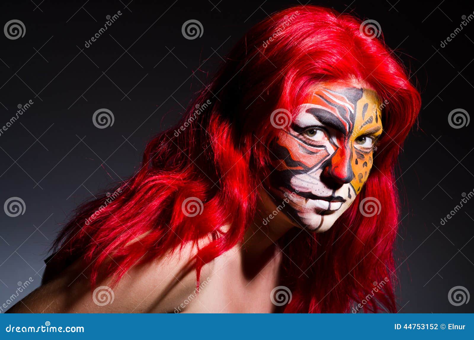 Woman with tiger face stock photo. Image of facial, lion - 44753152