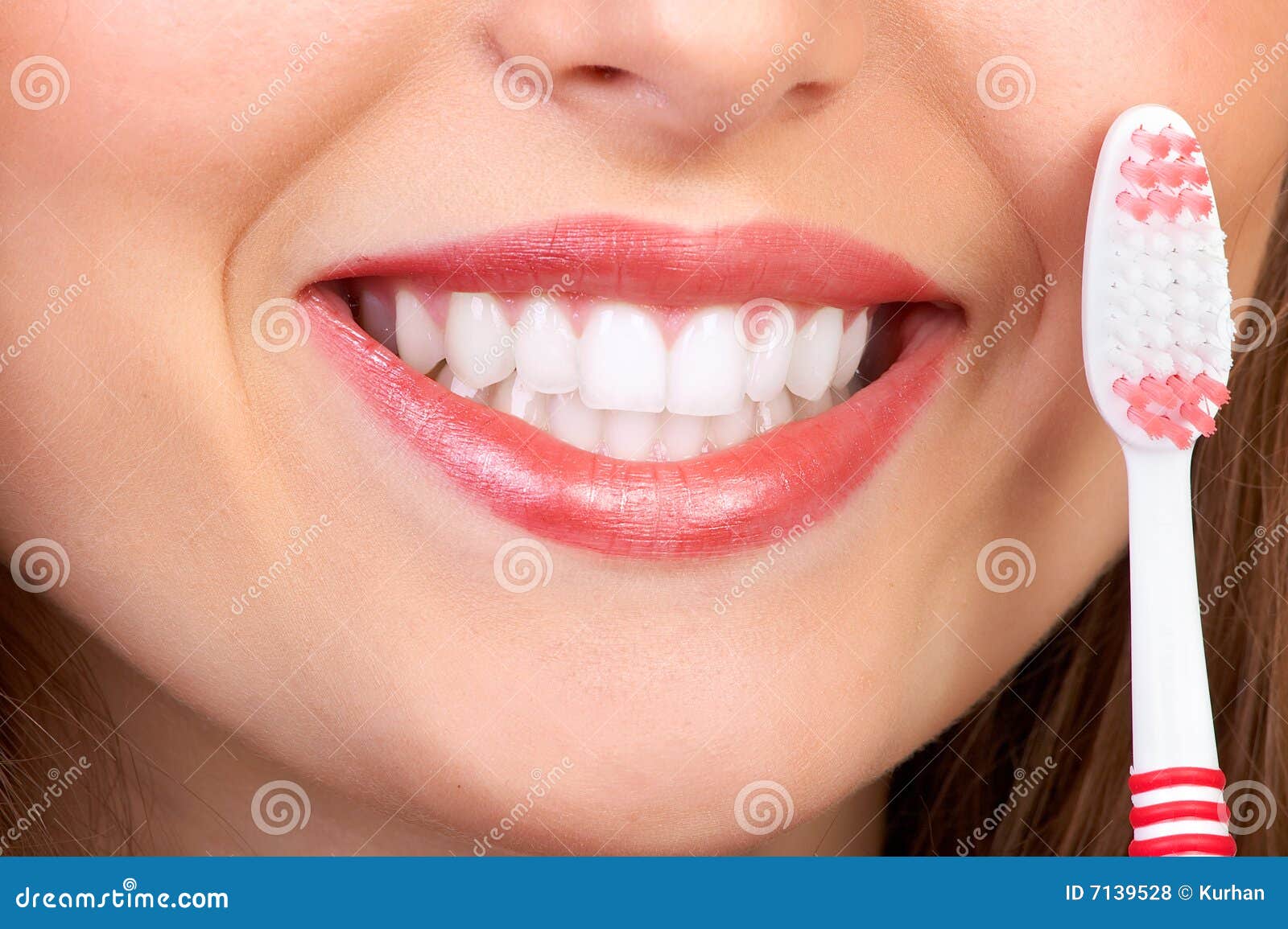 Tooth Brush And Orthodontic Model Used In Dentistry For Demonstration ...