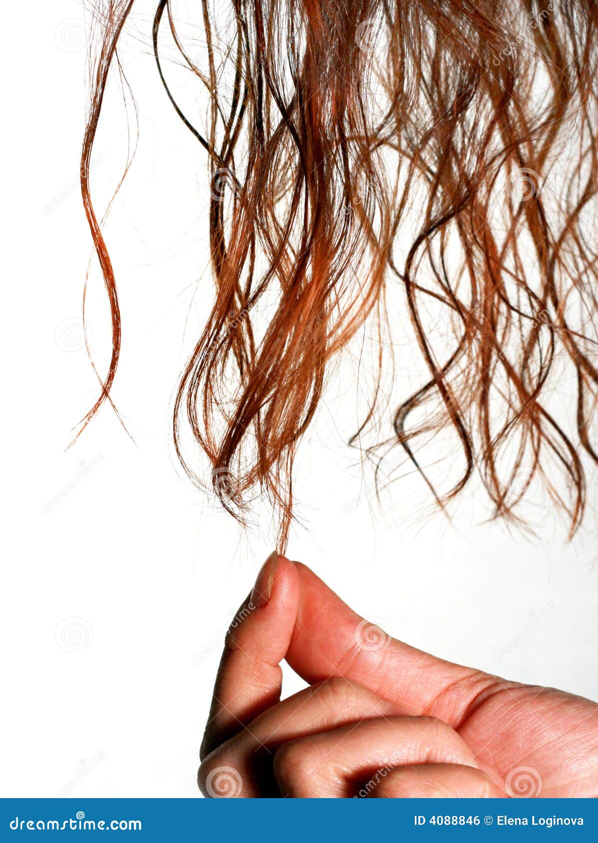 Woman touching hair stock photo. Image of hand, hair, care - 4088846