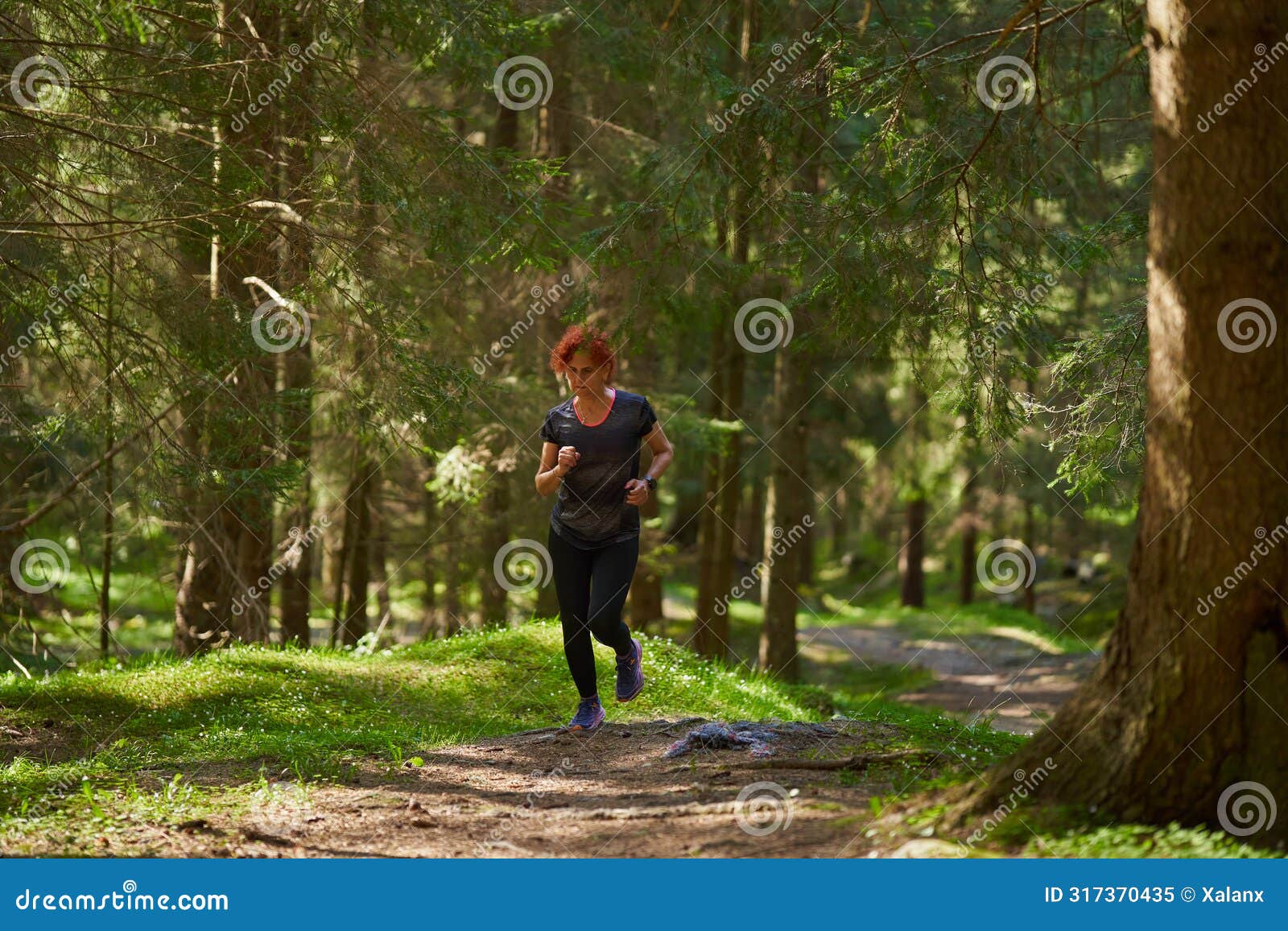 Woman Trail Runner in the Forest Stock Image - Image of jogger ...
