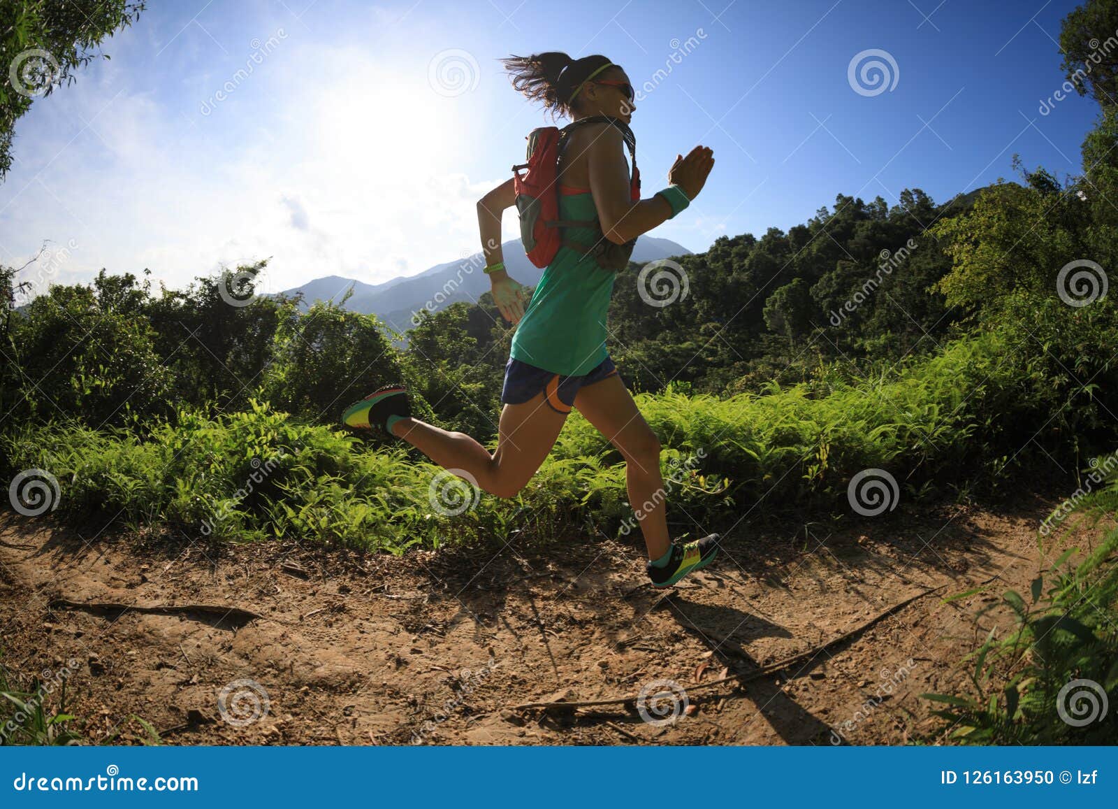 Woman Trail Runner Running in Morning Forest Stock Photo - Image of ...