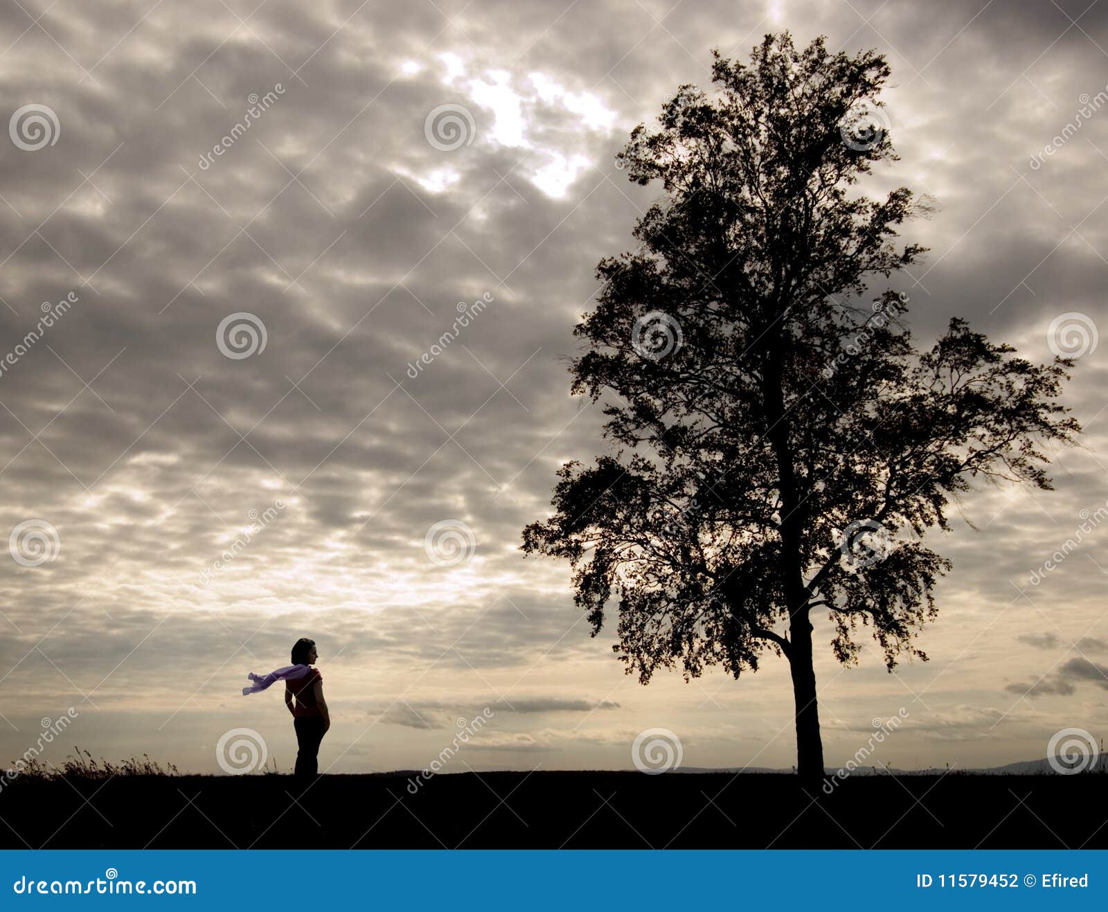 Woman and tree stock photo. Image of storm, weather, individuality ...