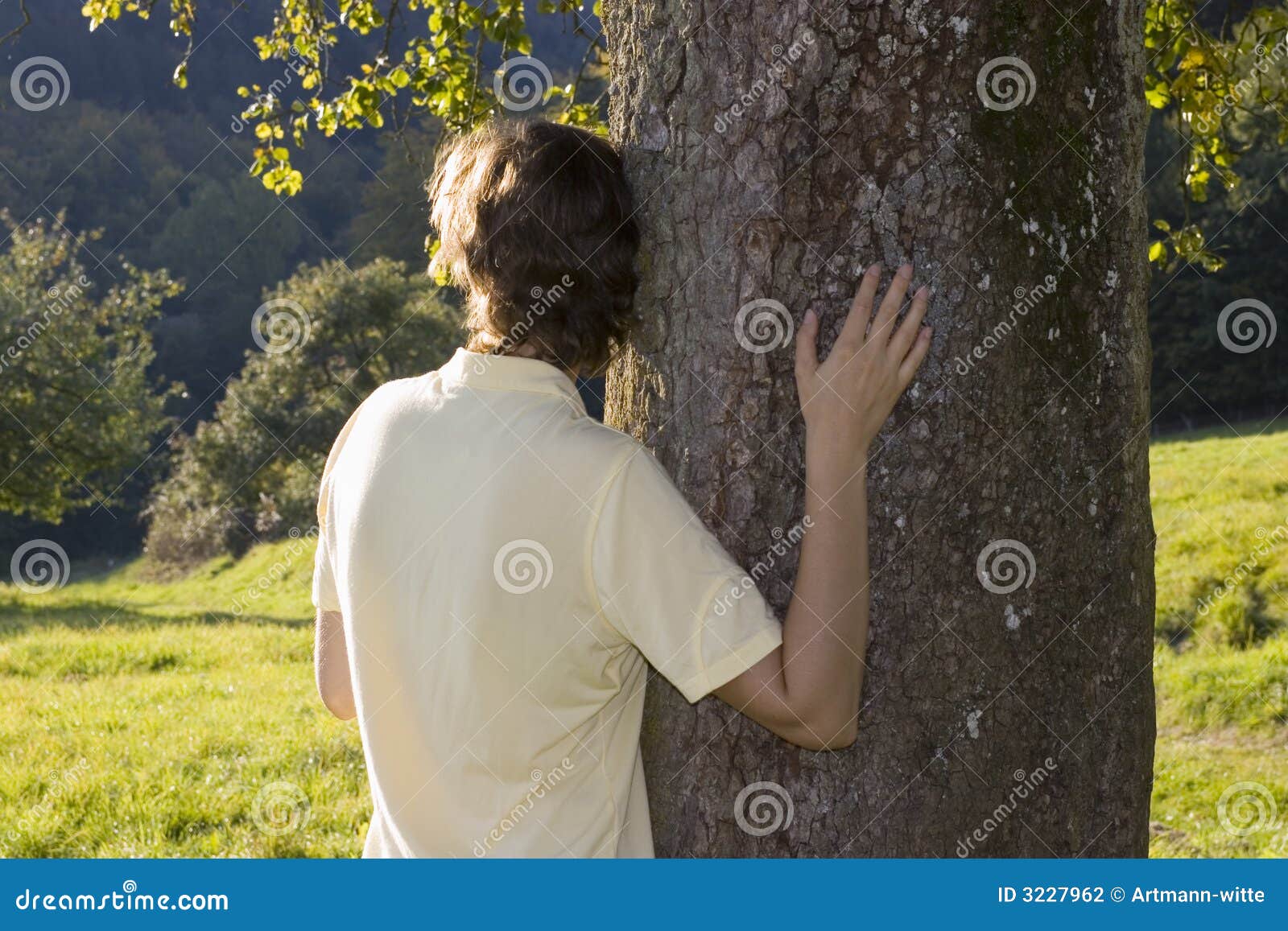 Woman and tree stock photo. Image of fall, loving, environment - 3227962