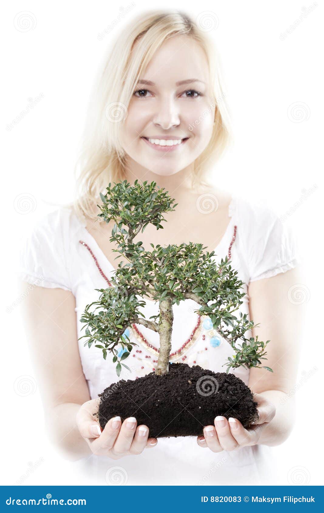 Woman with tree stock image. Image of bonsai, caucasian - 8820083
