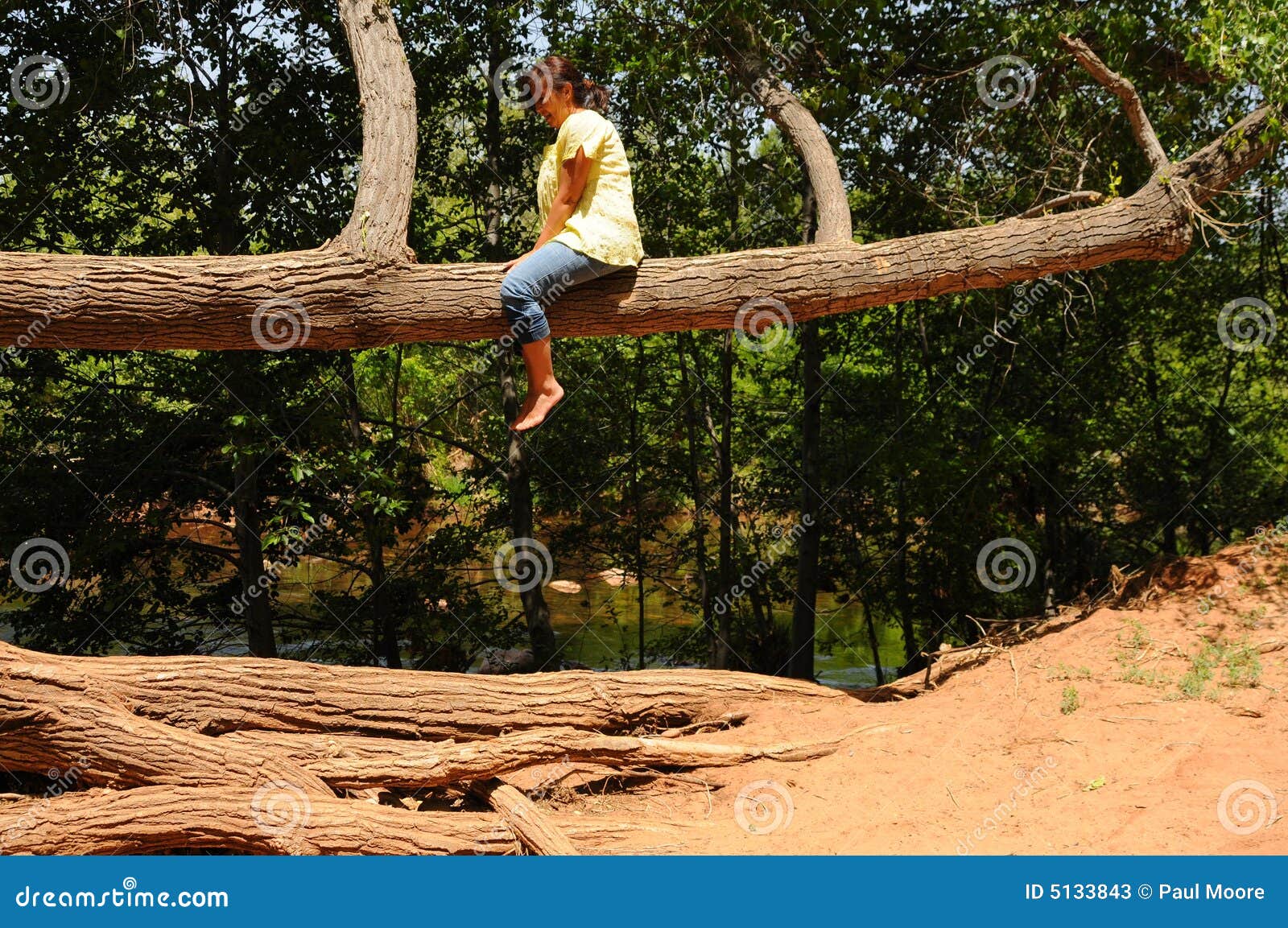 Tree Limb Grunge Background Stock Photography | CartoonDealer.com #8028086