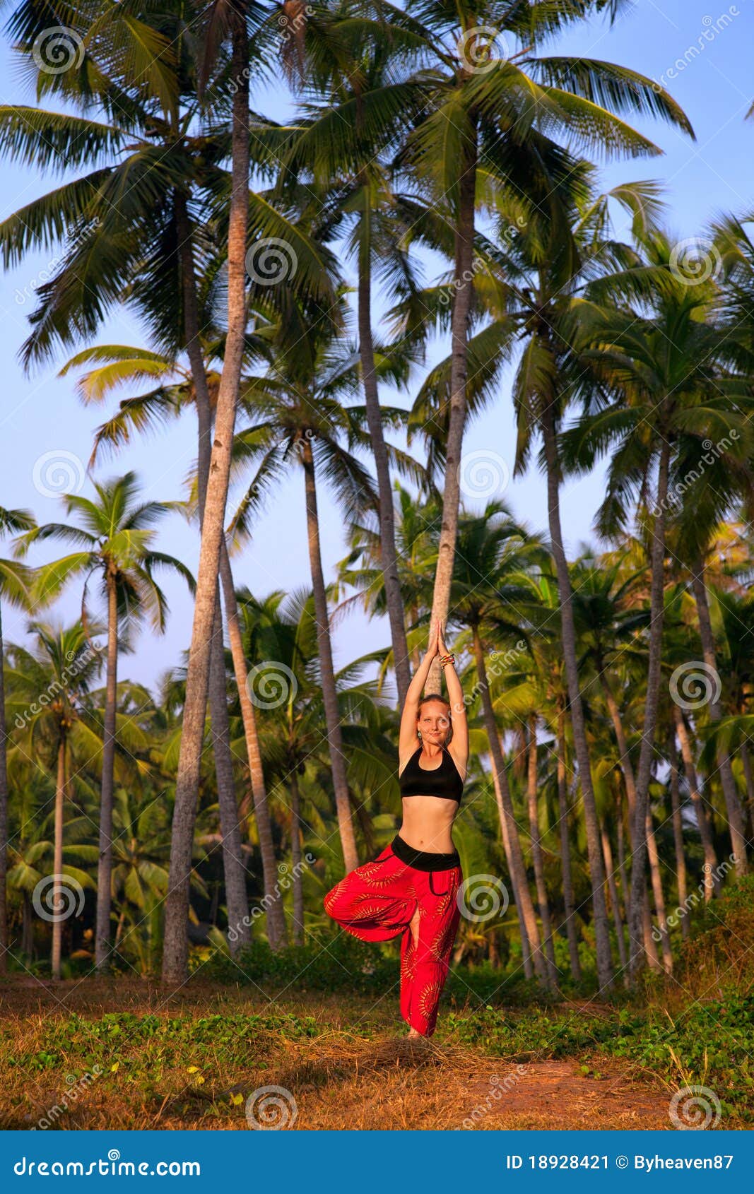 Woman In Tree Pose Vrikshasana Royalty-Free Stock Photography ...