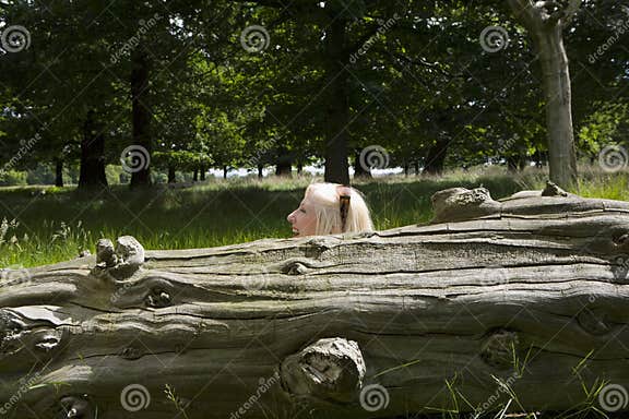 Woman Lying beside a Tree Trunk Stock Photo - Image of dress, nature ...