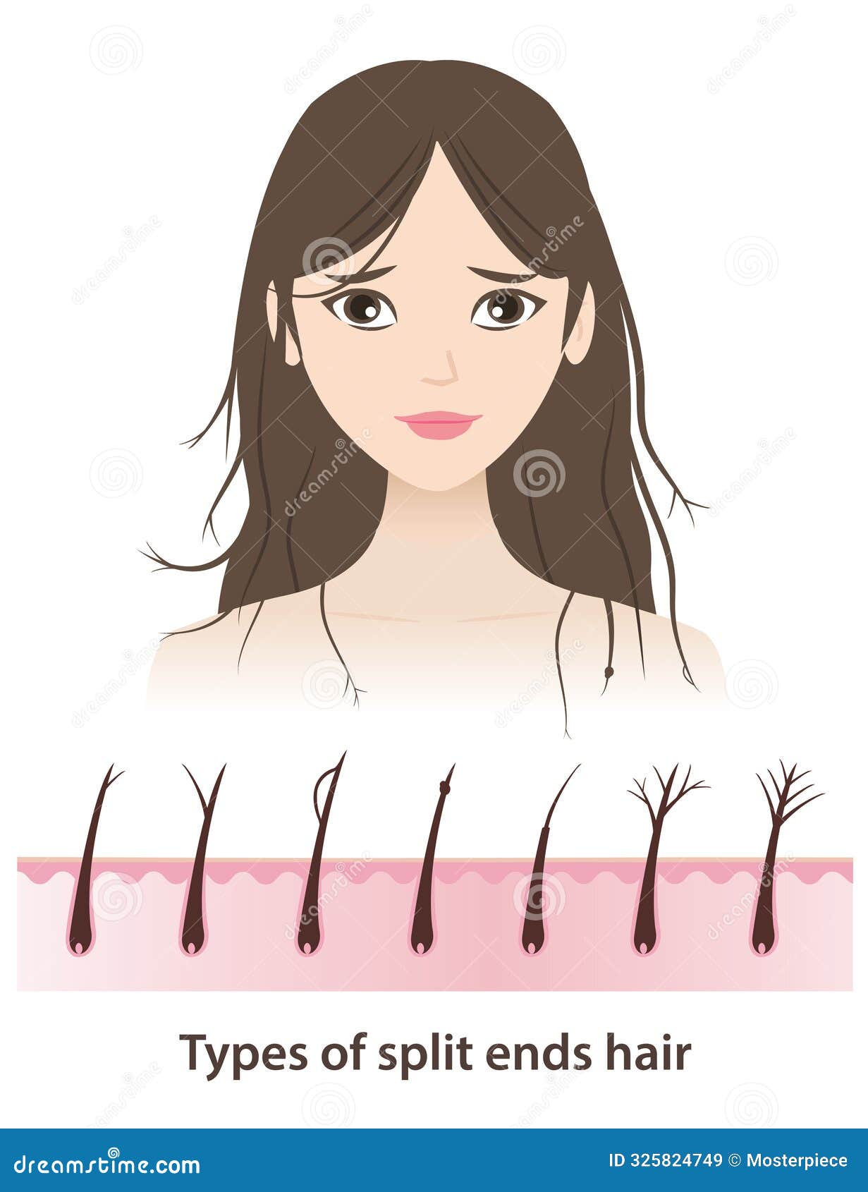 Types Of Split Ends Hair, Baby Split, Y Split, Incomplete, Knot, Taper ... Types Of Split Ends Hair, Baby Split, Y Split, Incomplete, Knot, Taper ...