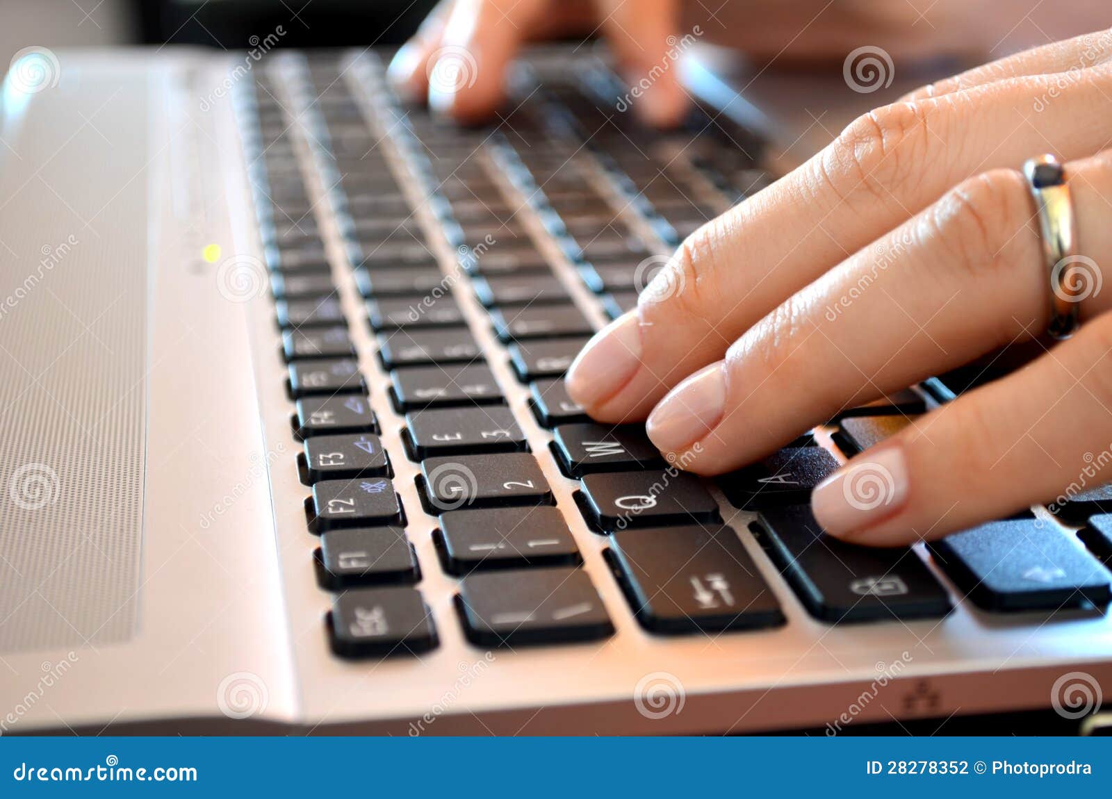 Woman typing stock photo. Image of laptop, modernity - 28278352