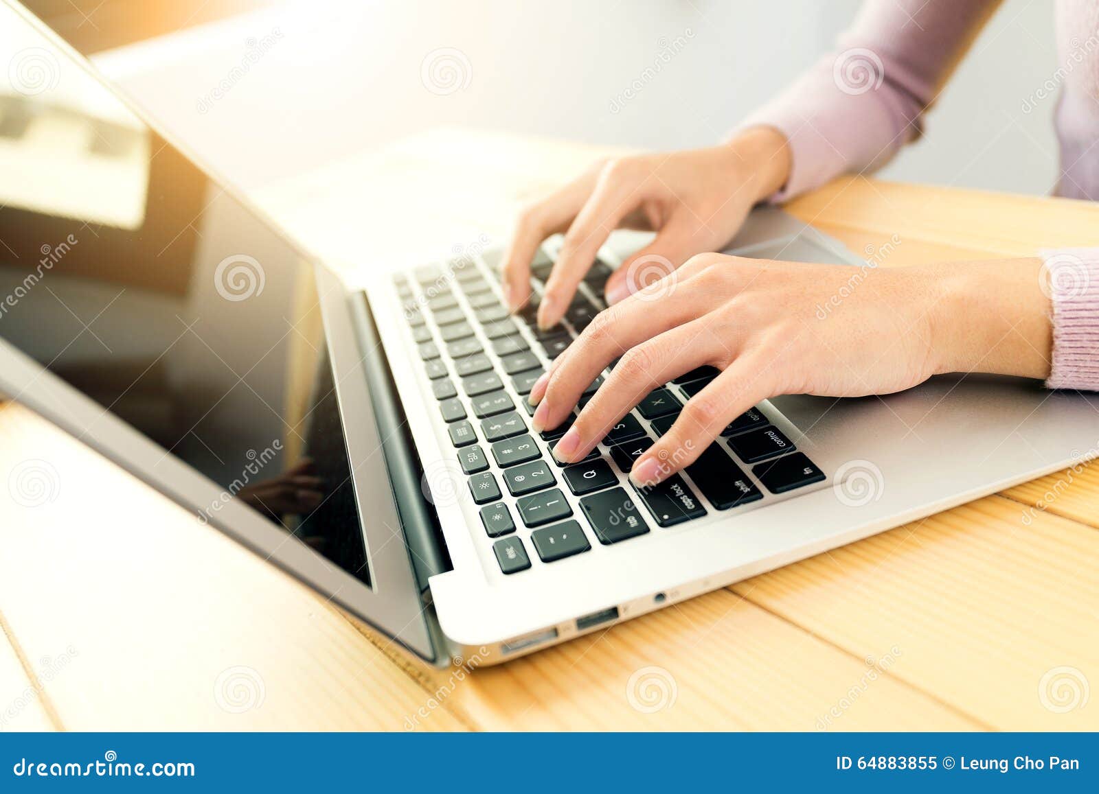 Woman typing on computer stock image. Image of lady, planning - 64883855