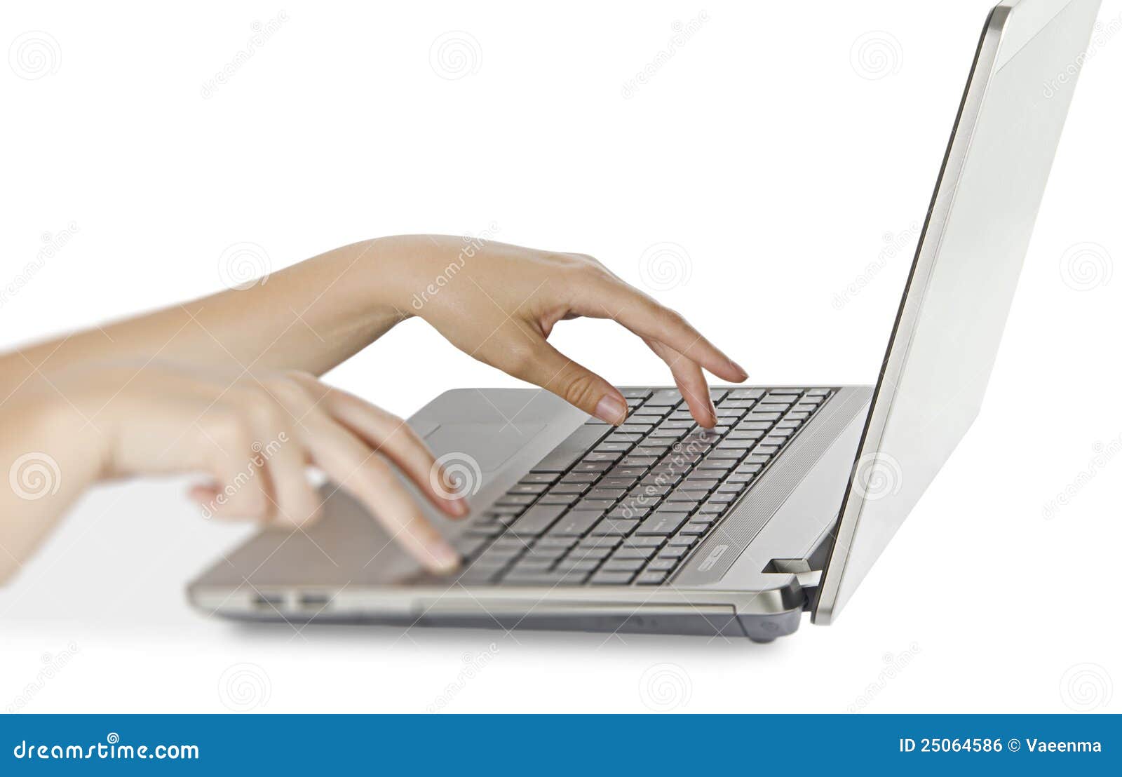 Woman typing on notebook stock photo. Image of developer - 25064586