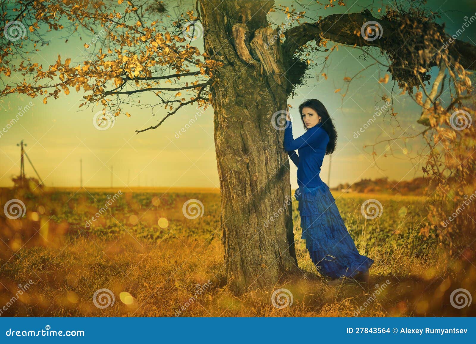 Woman under fallen tree stock photo. Image of stylish - 27843564