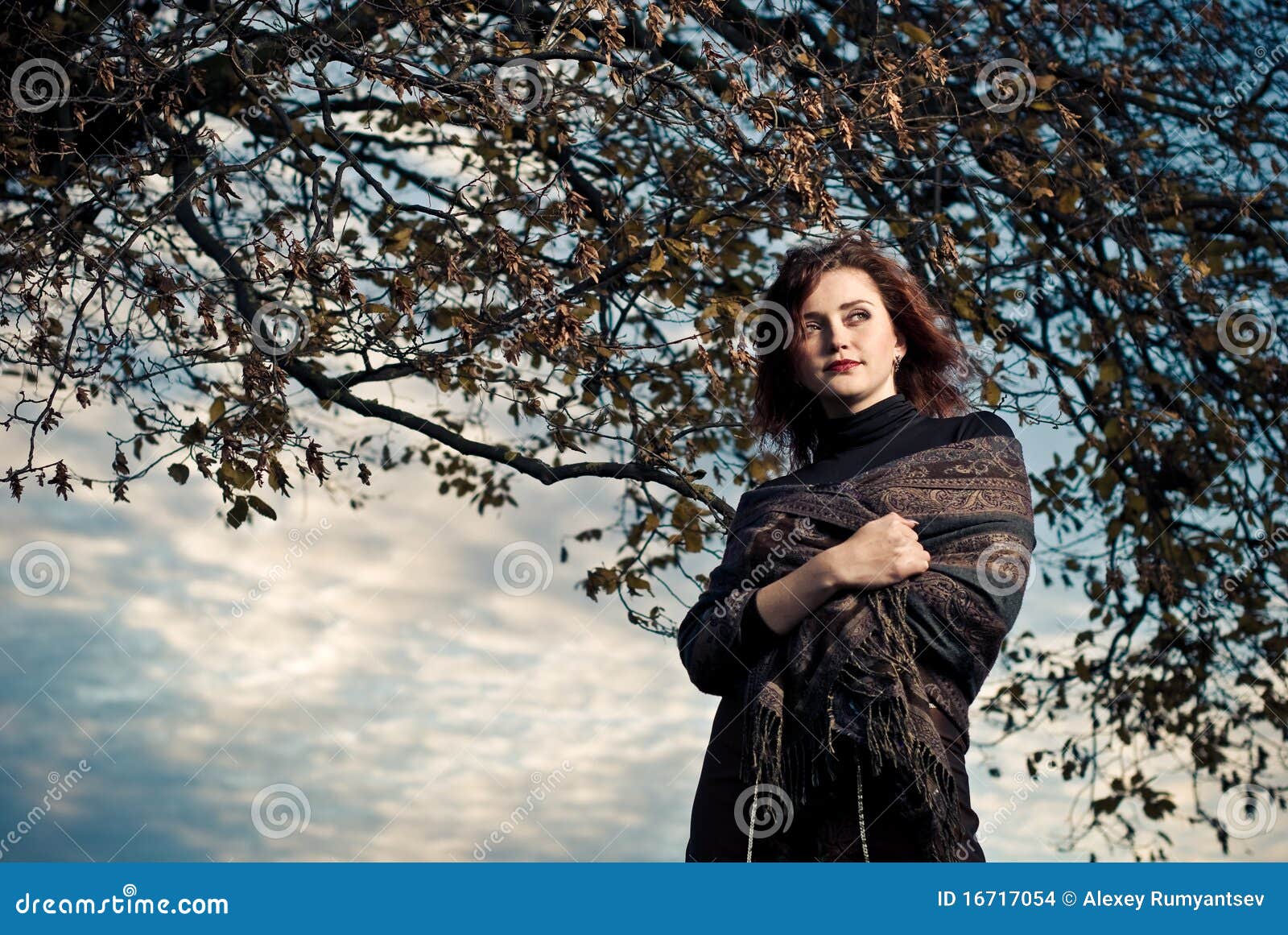 Woman under tree stock photo. Image of place, meadow - 16717054