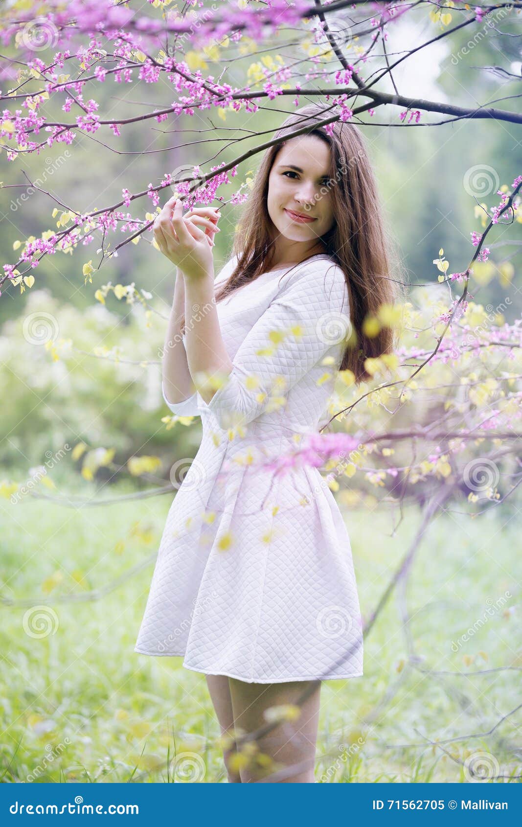 Woman under a tree stock image. Image of cheerful, grass - 71562705