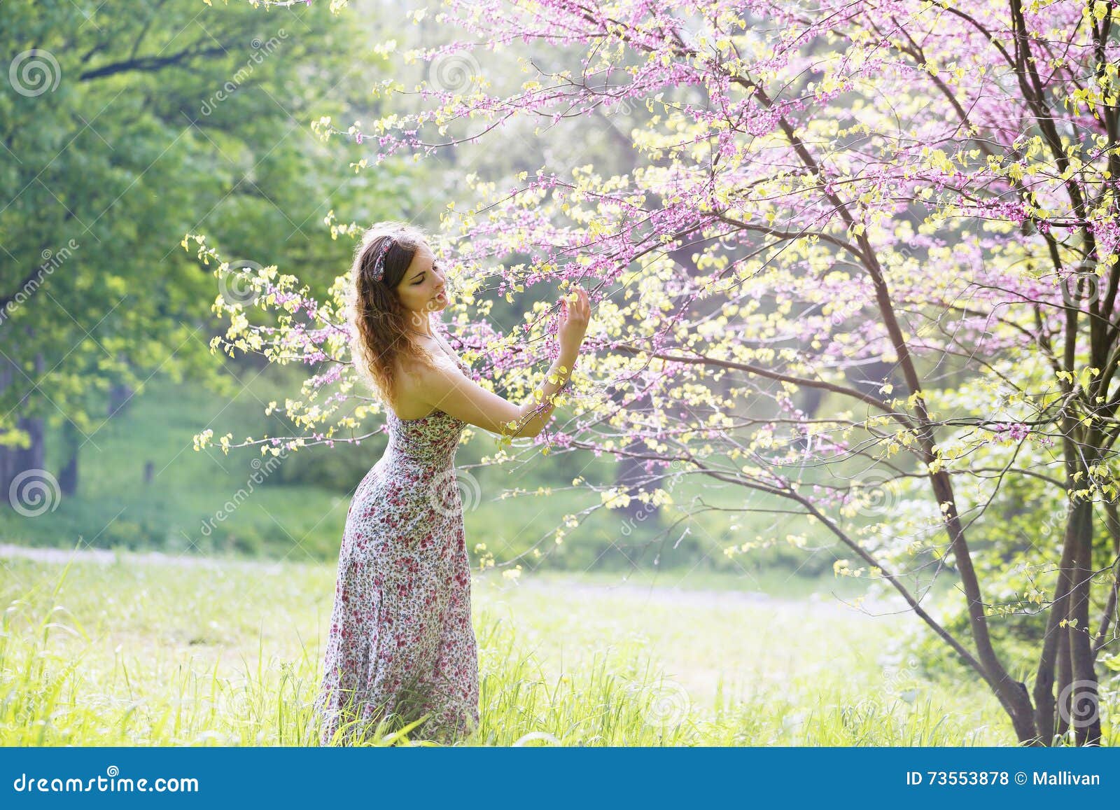 Woman under a tree stock photo. Image of cute, cheerful - 73553878