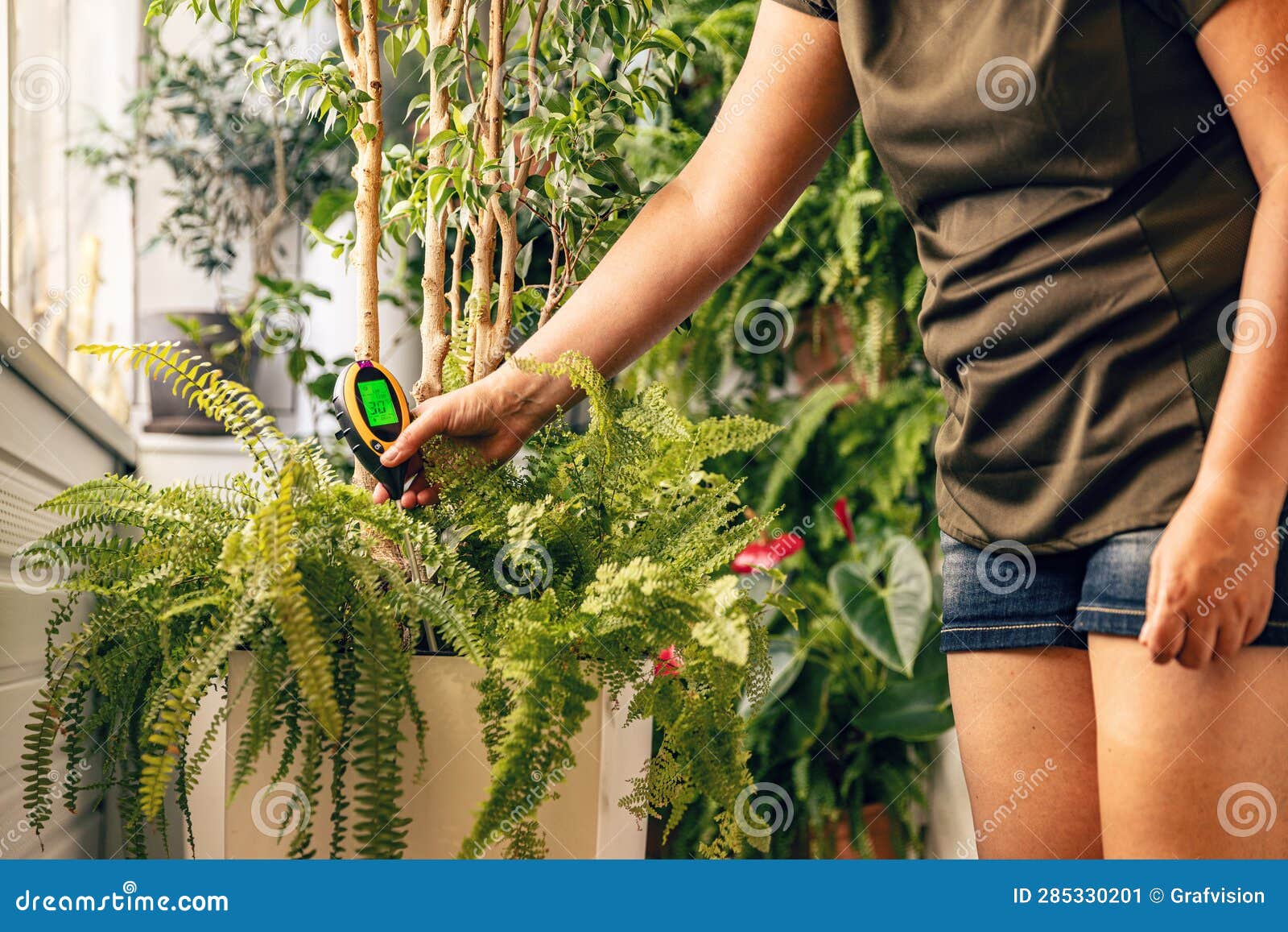 Moisture Meter Tester In Soil. Measure Soil For Humidity, Nitrogen And ... Moisture Meter Tester In Soil. Measure Soil For Humidity, Nitrogen And ...
