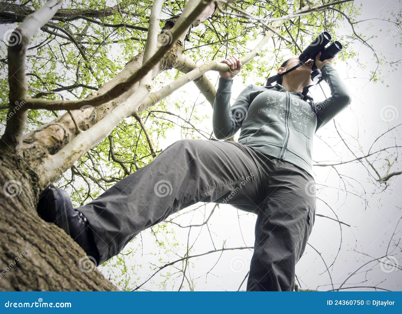 Woman using binoculars stock photo. Image of birdwatching - 24360750