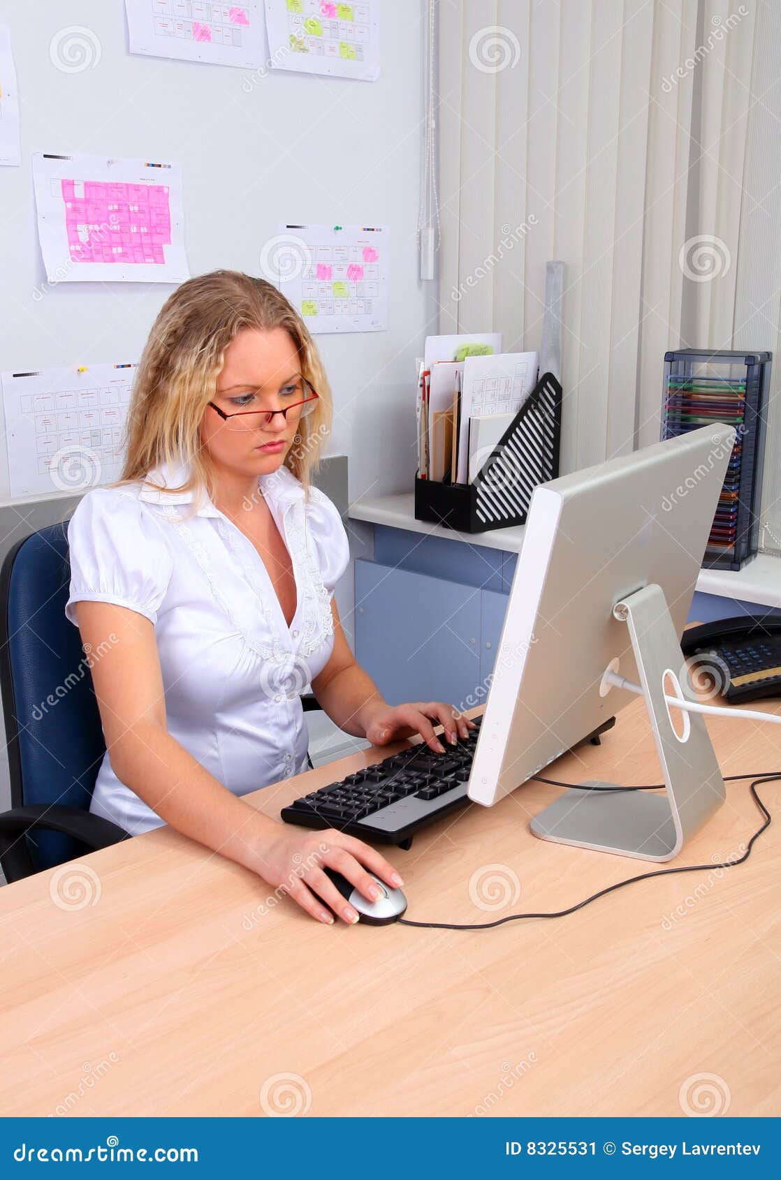 Woman using computer stock image. Image of adult, beauty - 8325531