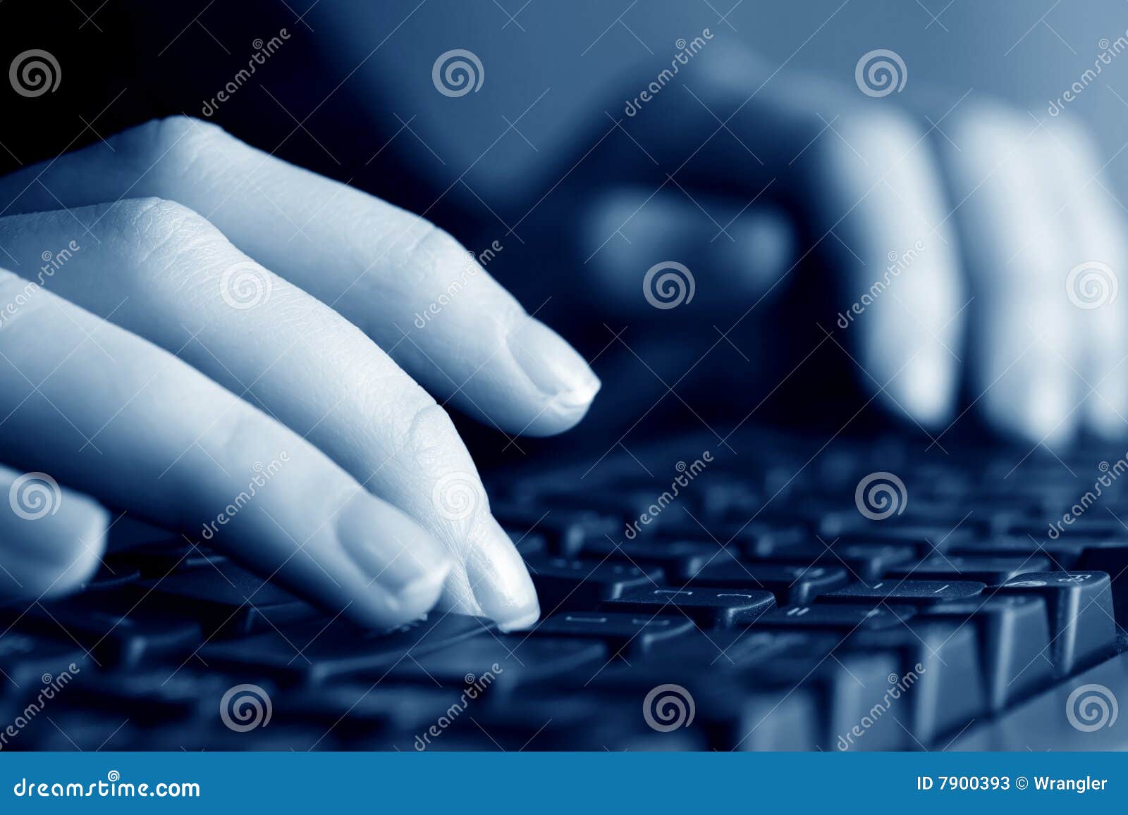 Woman Using Computer Keyboard Stock Image - Image of hand, blue: 7900393