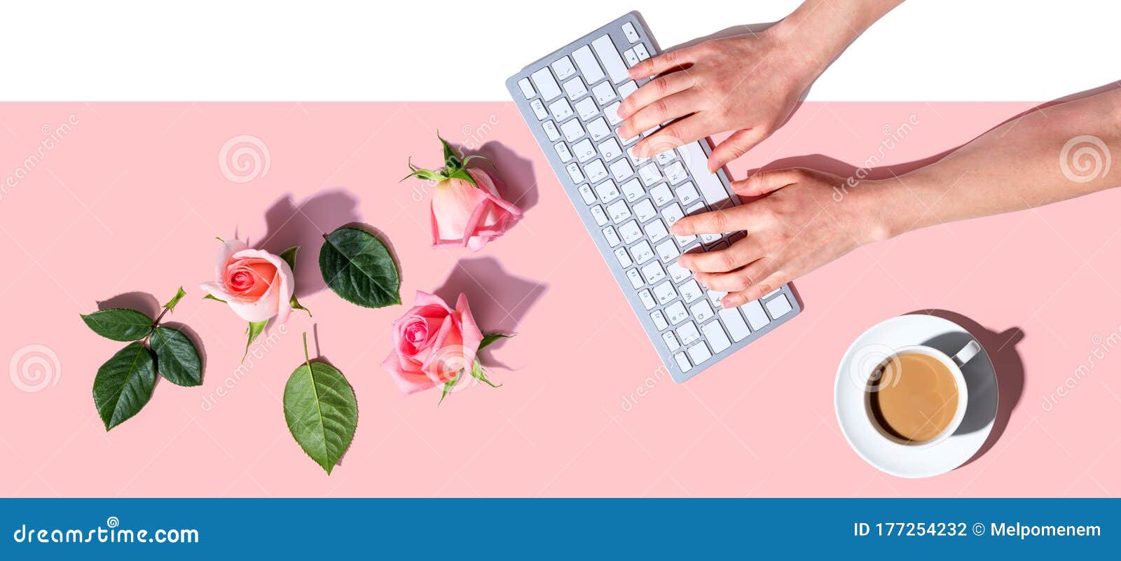 Woman Using Computer Keyboard with Pink Roses Stock Photo - Image of ...