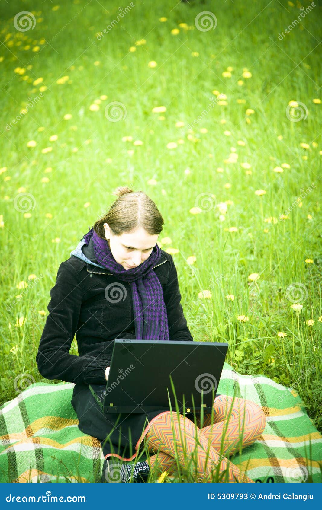 Woman Using Laptop Outdoors Stock Image - Image of seasonal, meadow ...