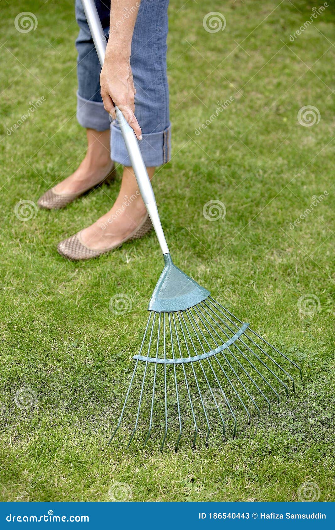 Woman Using a Rake. Conceptual Image Stock Image - Image of people ...