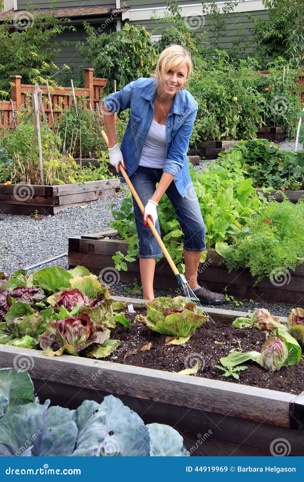 Woman vegetable garden stock image. Image of landscape - 44919969