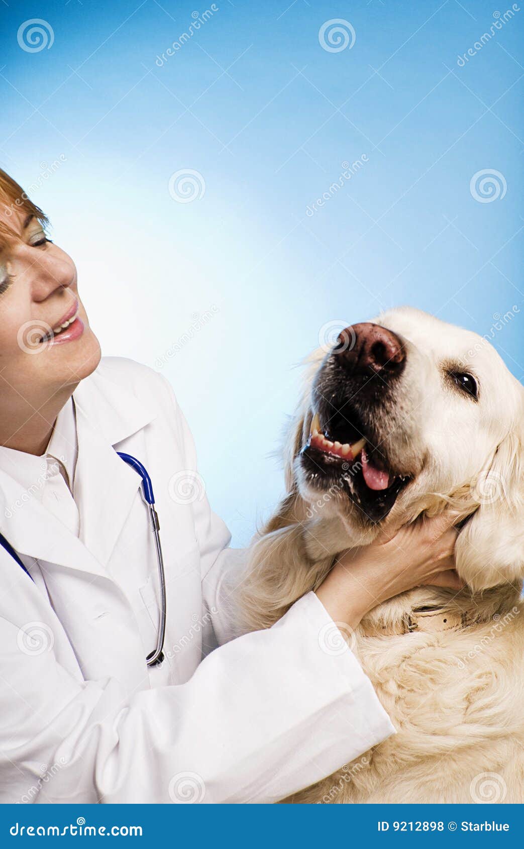Woman vet with dog stock photo. Image of retriever, adult - 9212898