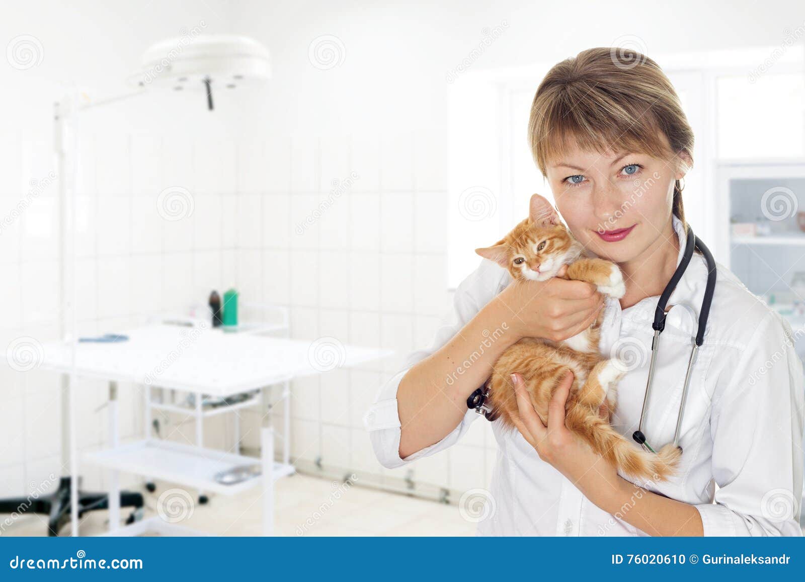 Woman veterinary doctor stock photo. Image of looking - 76020610