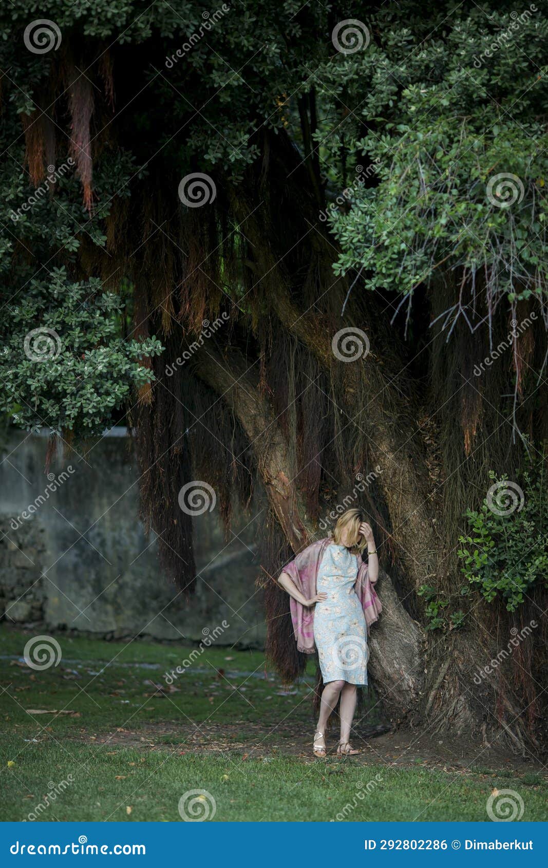 A Woman is Waiting for a Date by a Big Tree in the Park. Stock Photo ...
