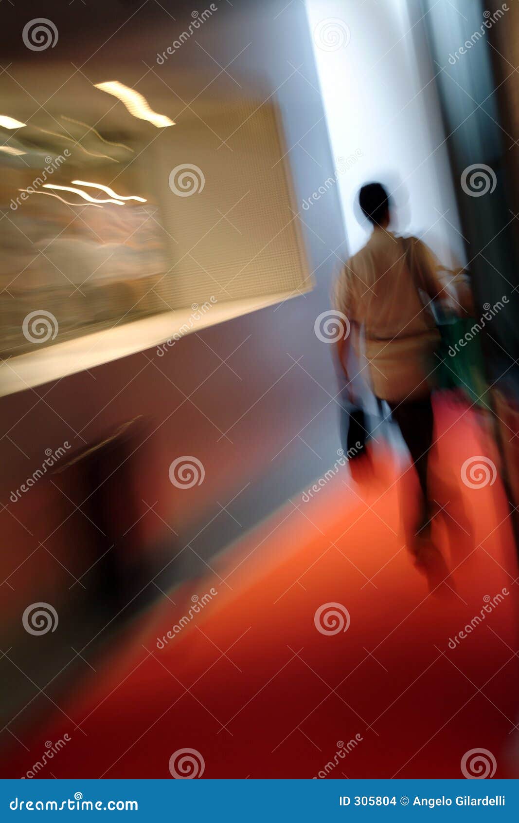 Woman walking stock photo. Image of indoor, work, economy - 305804
