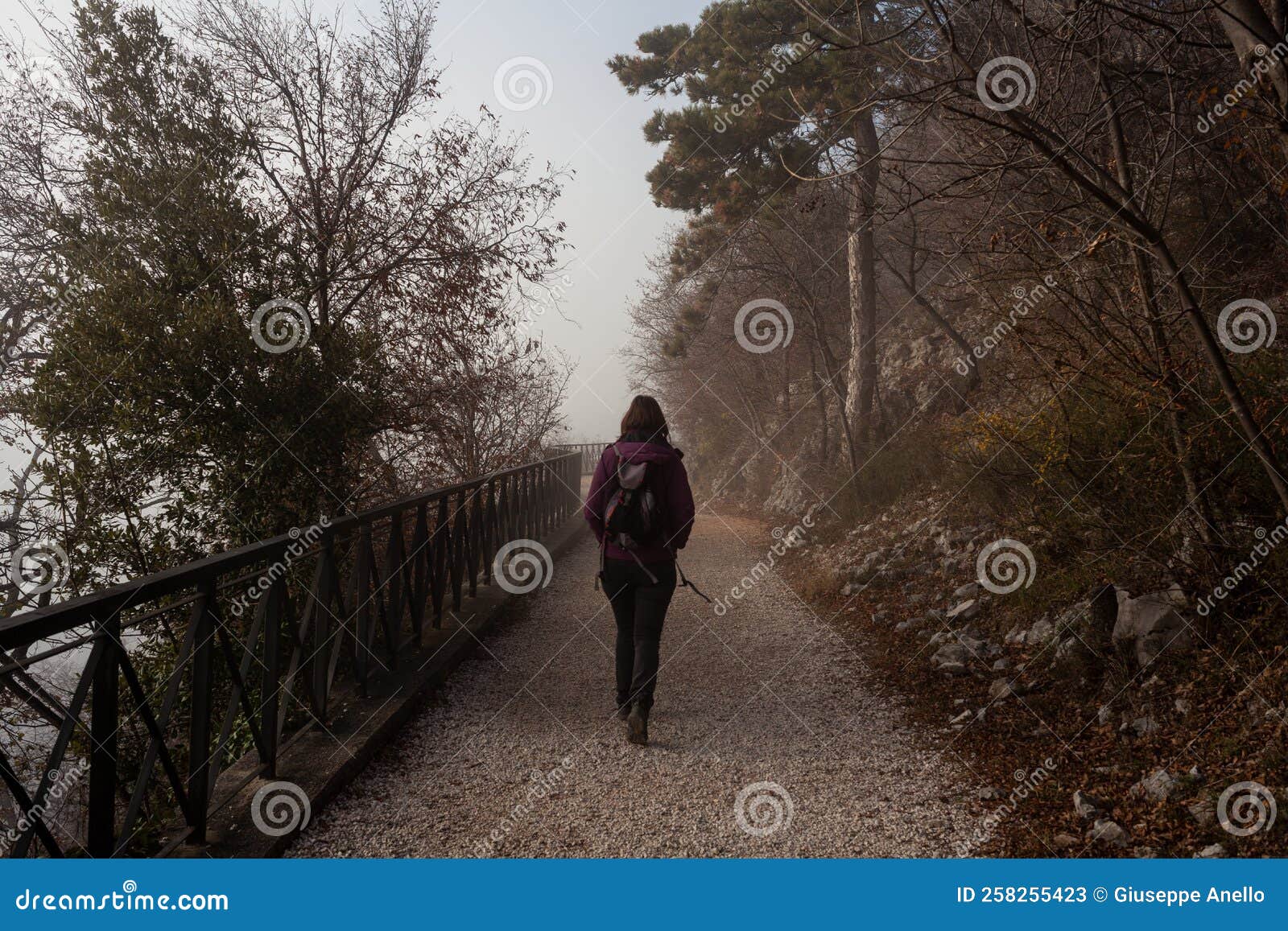 Woman Walking Alone on Rural Misty Path Editorial Stock Photo - Image ...