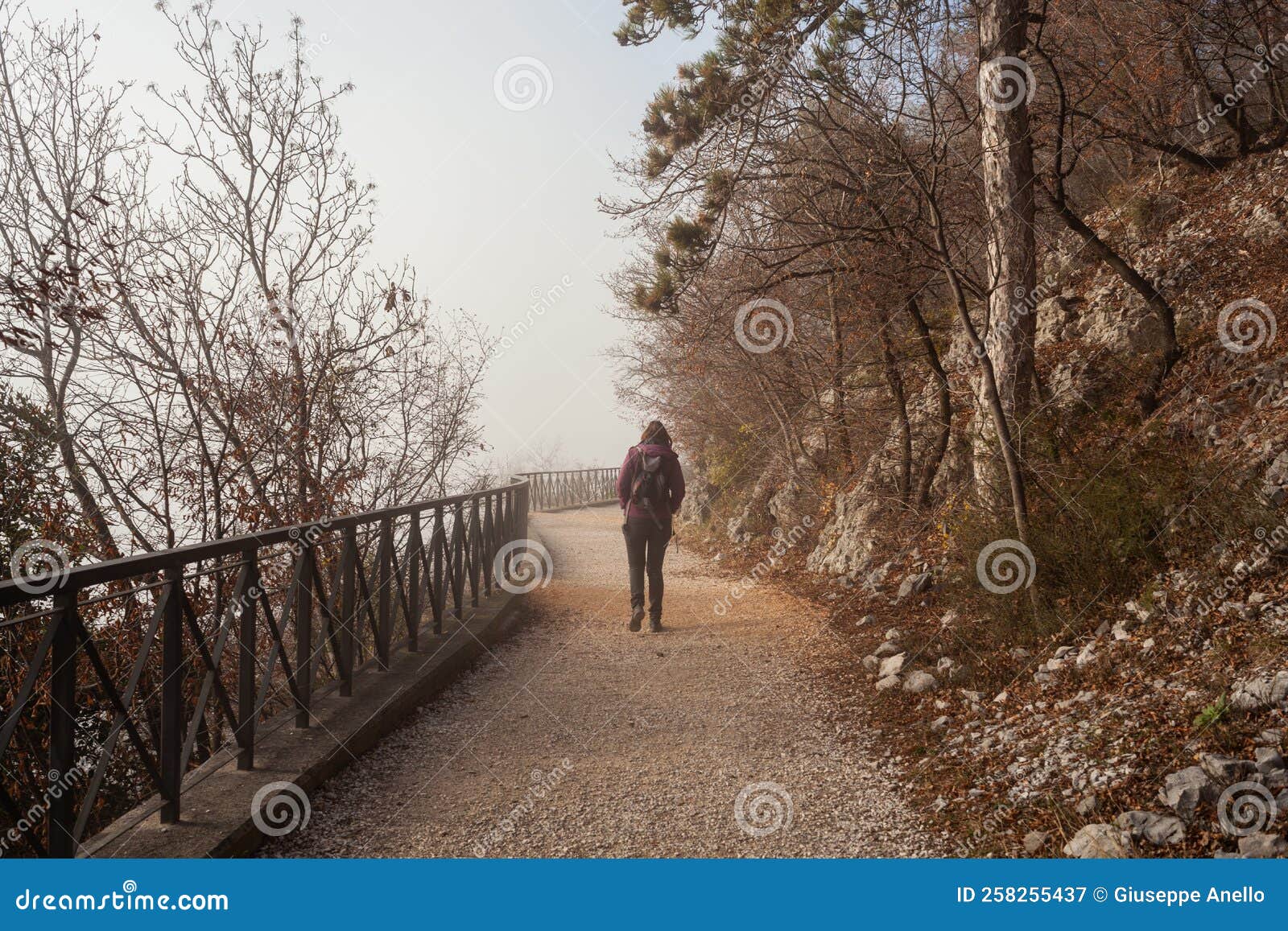 Woman Walking Alone on Rural Misty Path Editorial Photography - Image ...