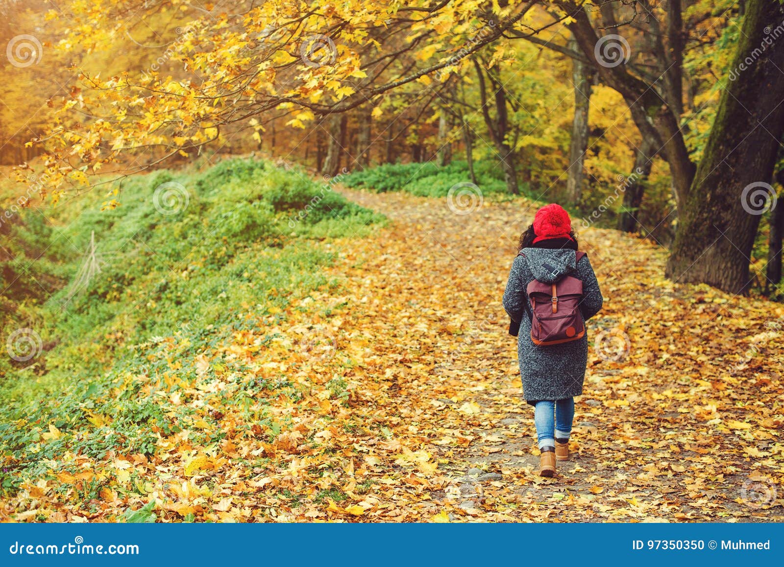 Woman Walking in Autumn Park. View from the Back. Stock Photo - Image ...